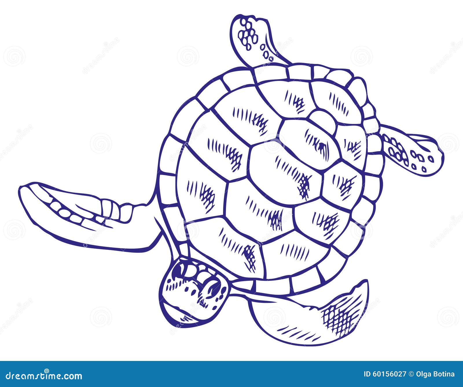 Tortue de mer de dessin illustration de vecteur. Illustration du ...