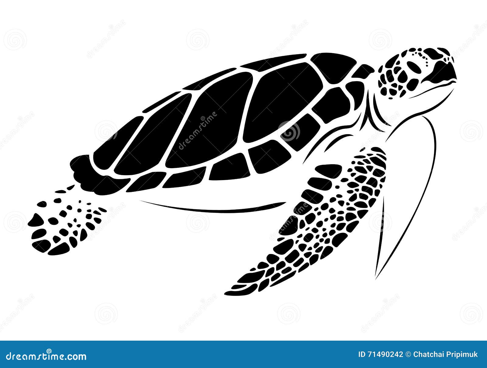 Tortuga De Mar Gráfica, Vector Ilustración del Vector - Ilustración de ...