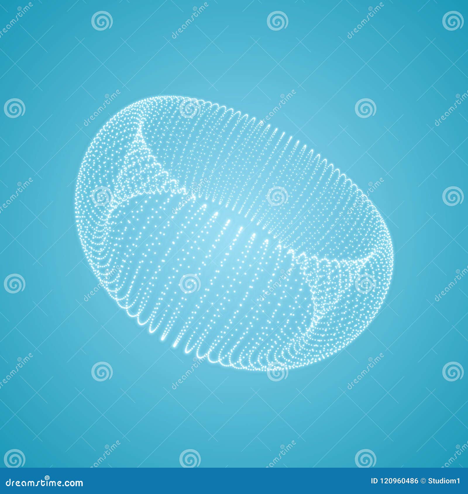 The Torus Consisting of Points. Connection Structure. 3D Grid Design ...