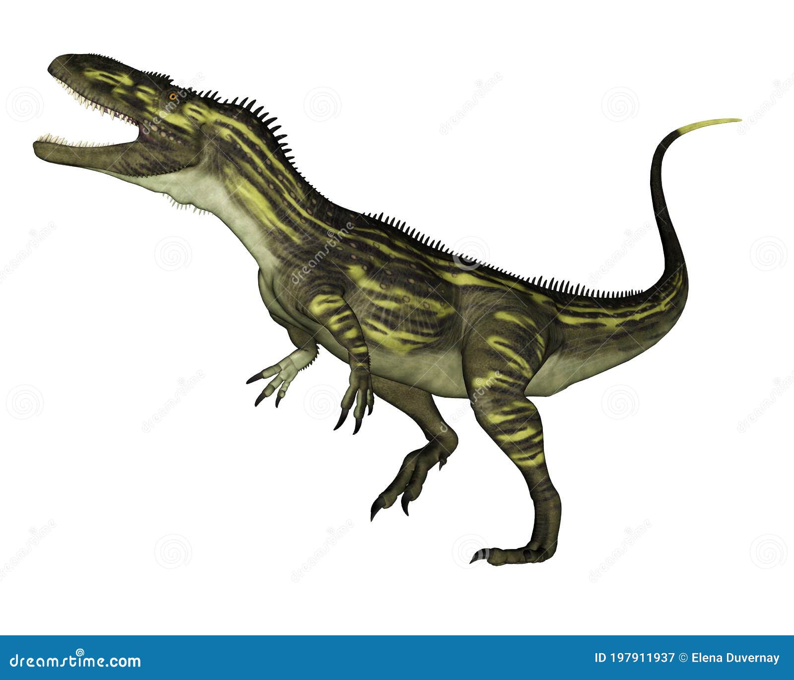 Torvosaurus Dinosaur Roaring - 3D Render Stock Illustration ...