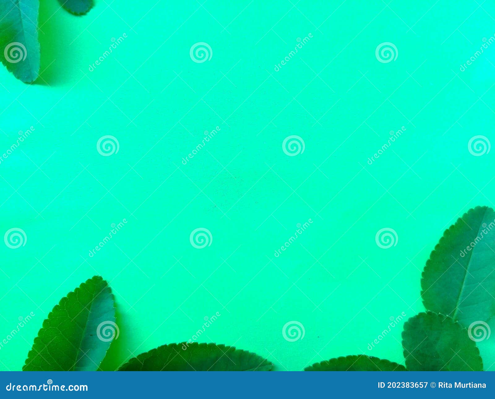 Tosca background stock image. Image of background, color - 202383657