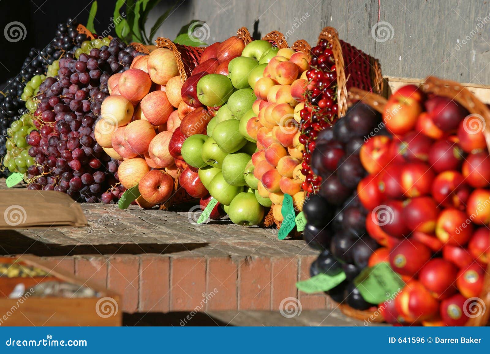 Toskanische Frucht stockfoto. Bild von frisch, olivgrün - 641596