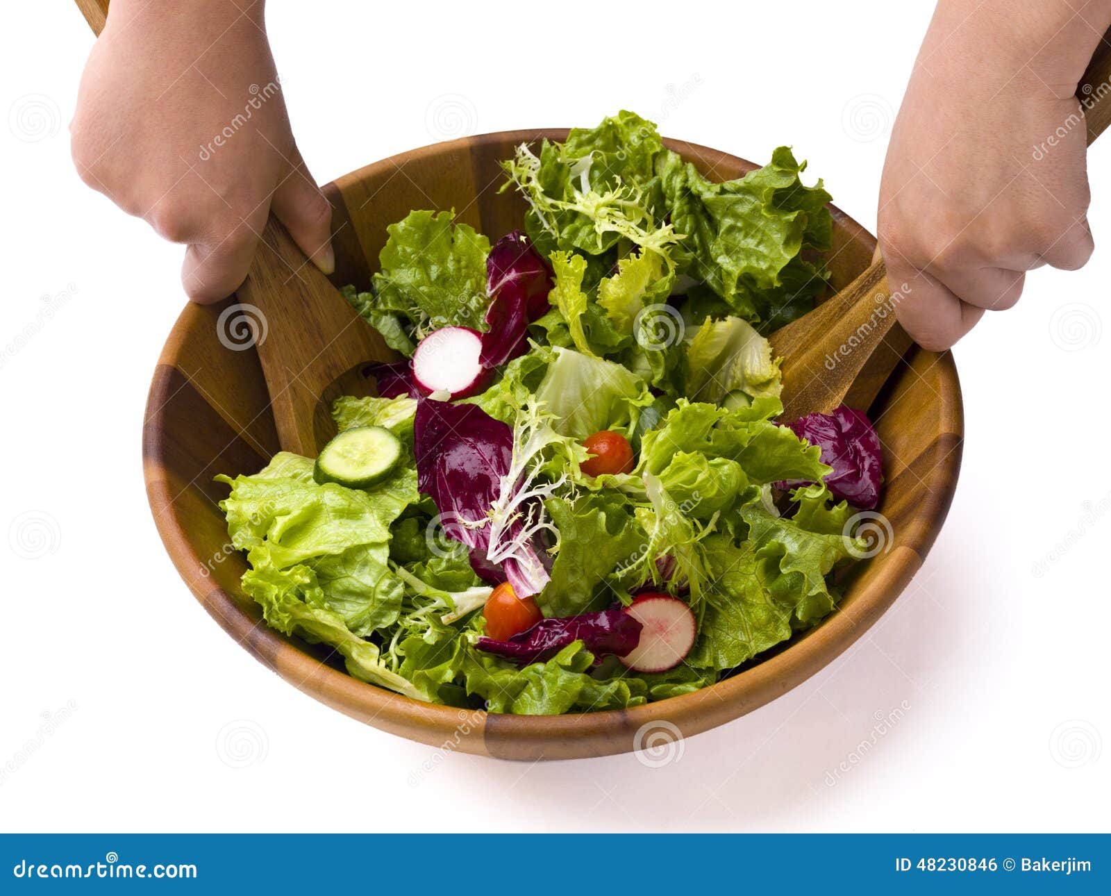 Tossed garden salad stock photo. Image of meal, cucumber - 48230846
