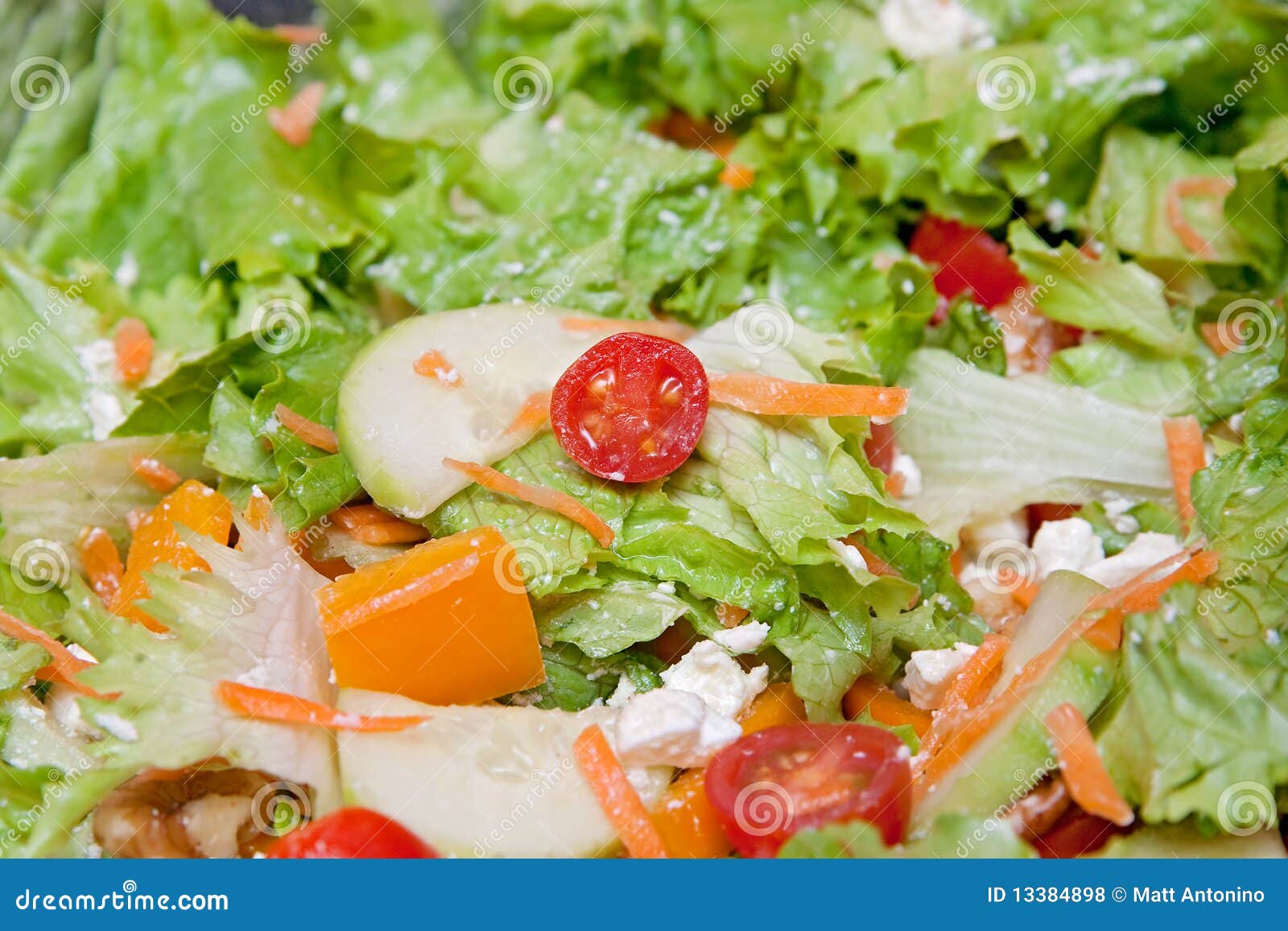 Tossed salad stock photo. Image of summer, natural, leafy - 13384898