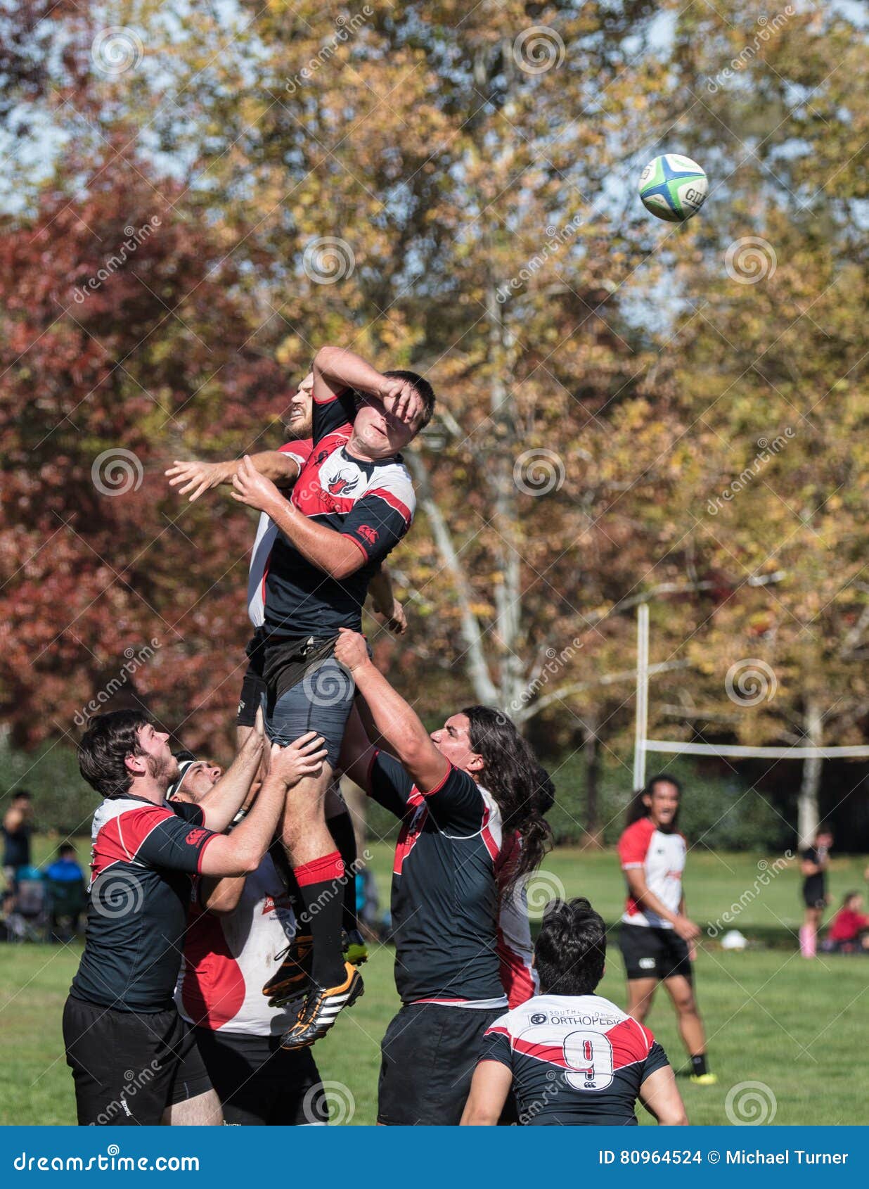 Tossing Up editorial stock image. Image of engaged, arena - 80964524