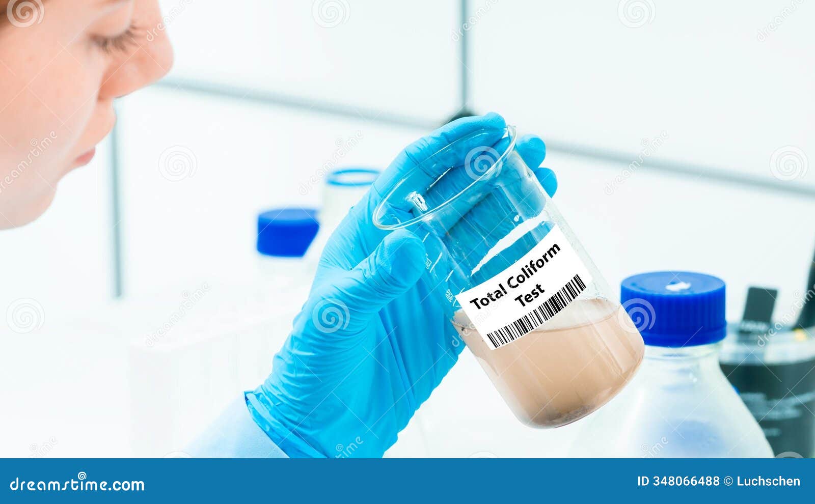 Total Coliform Test stock photo. Image of chemistry - 348066488
