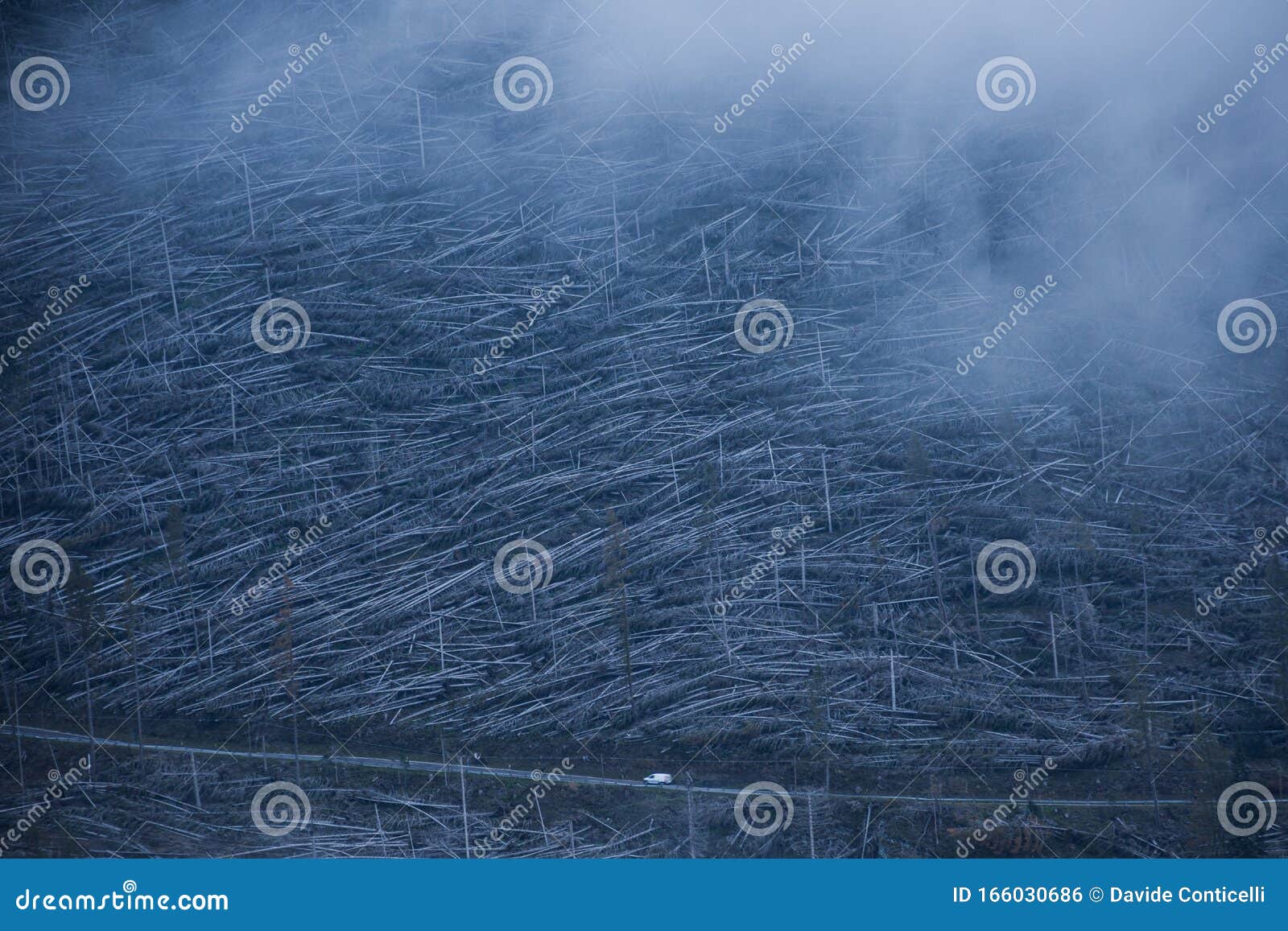 The Total Devastation Caused by the Vaia Storm in October 2018, in the ...