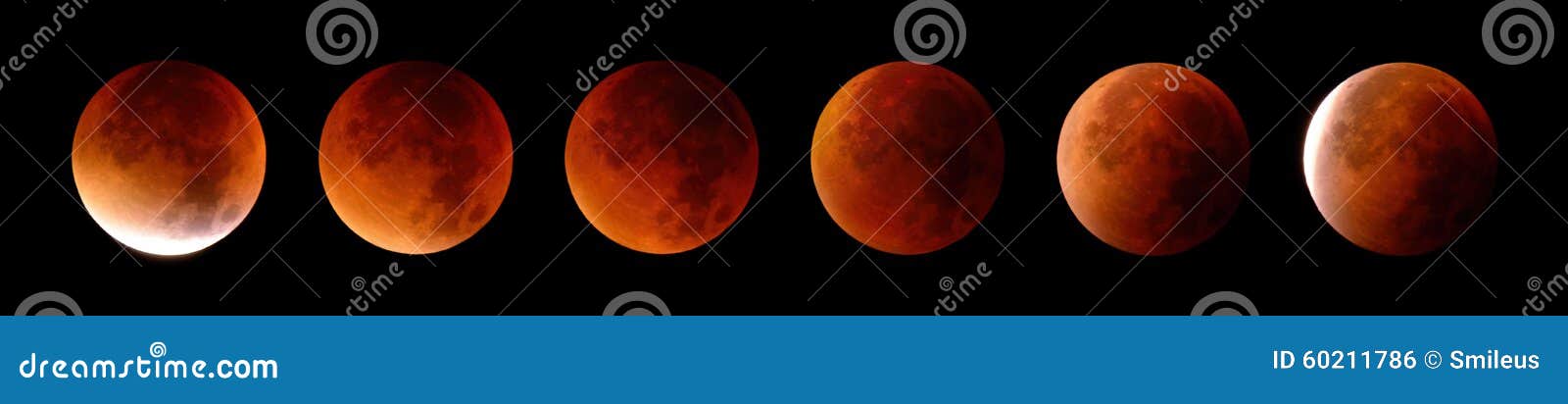 Total Lunar Eclipse in 6 Stages Stock Photo - Image of blood, outer ...