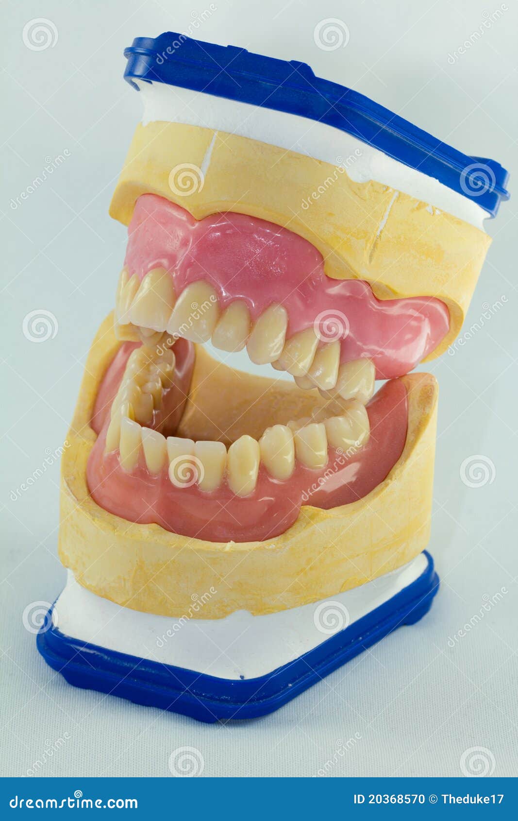 Total prosthesis stock photo. Image of dentistry, dentist - 20368570
