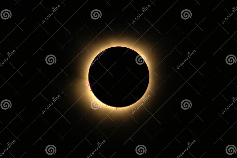 Total Solar Eclipse of April 8th 2024. Red Prominences and Bright ...