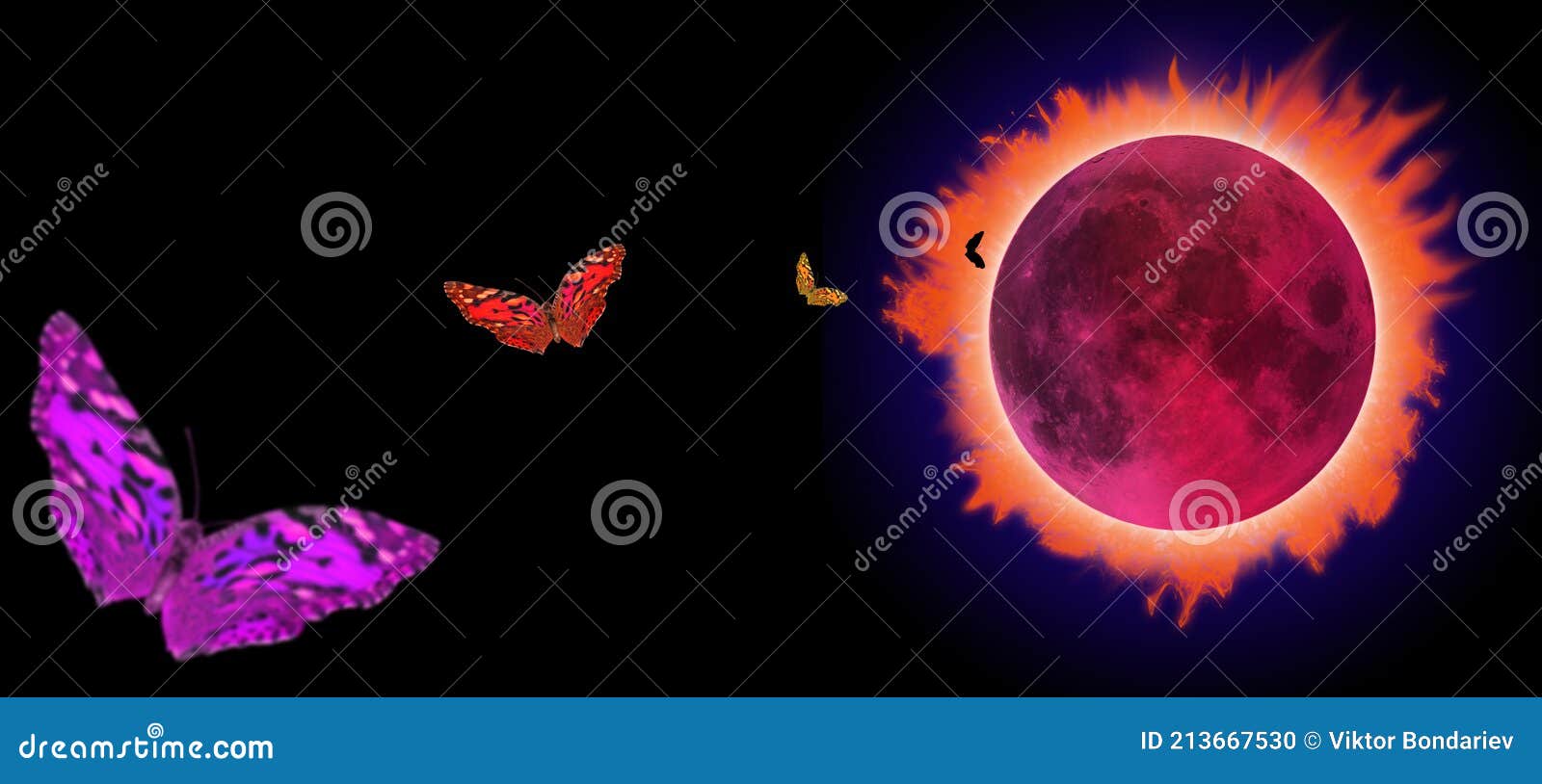 Total Solar Eclipse and Butterflies that Fly Towards the Sun Stock ...