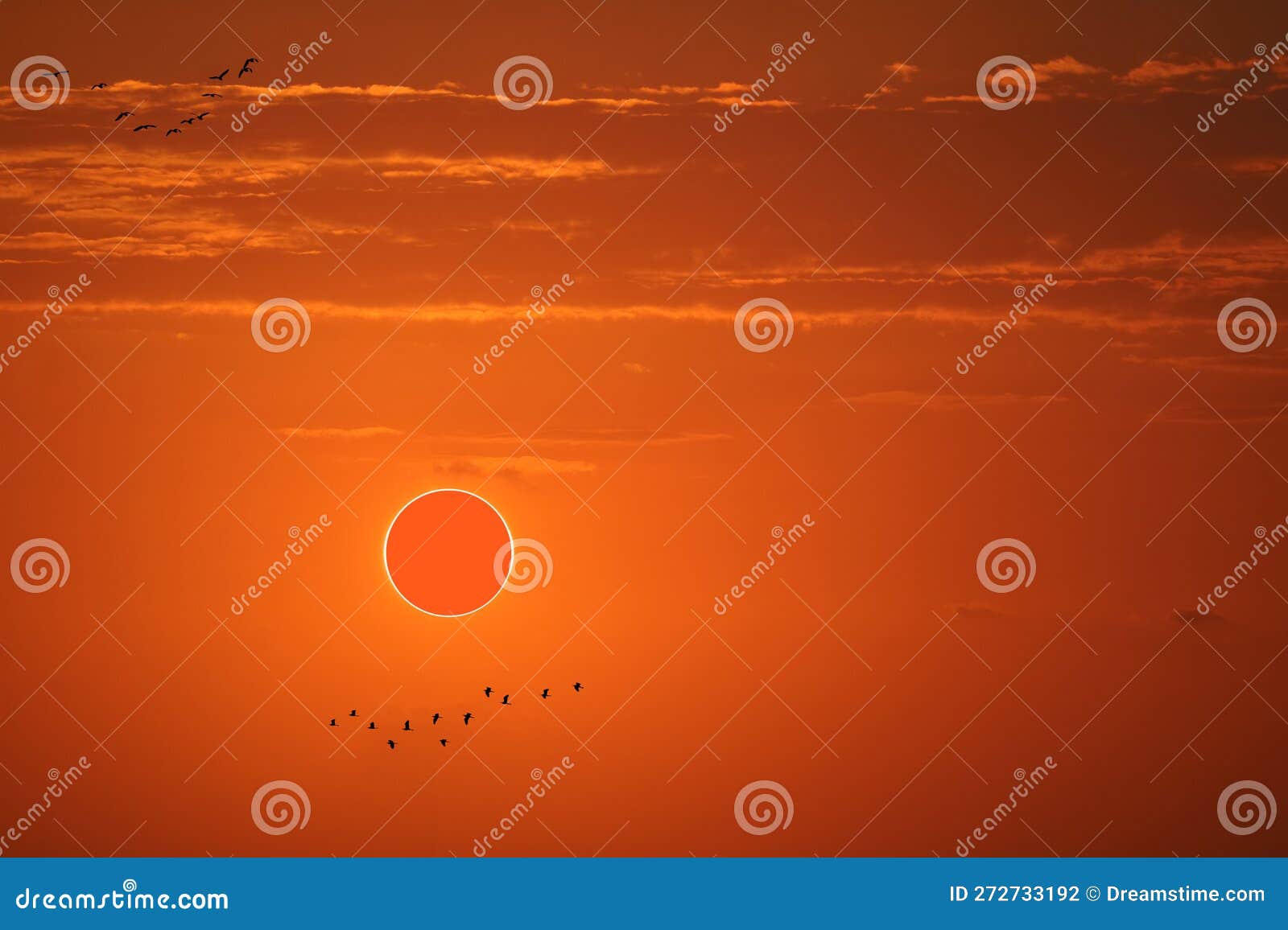 Total Solar Eclipse on the Red Orange Sky in the Mornning Stock Photo ...