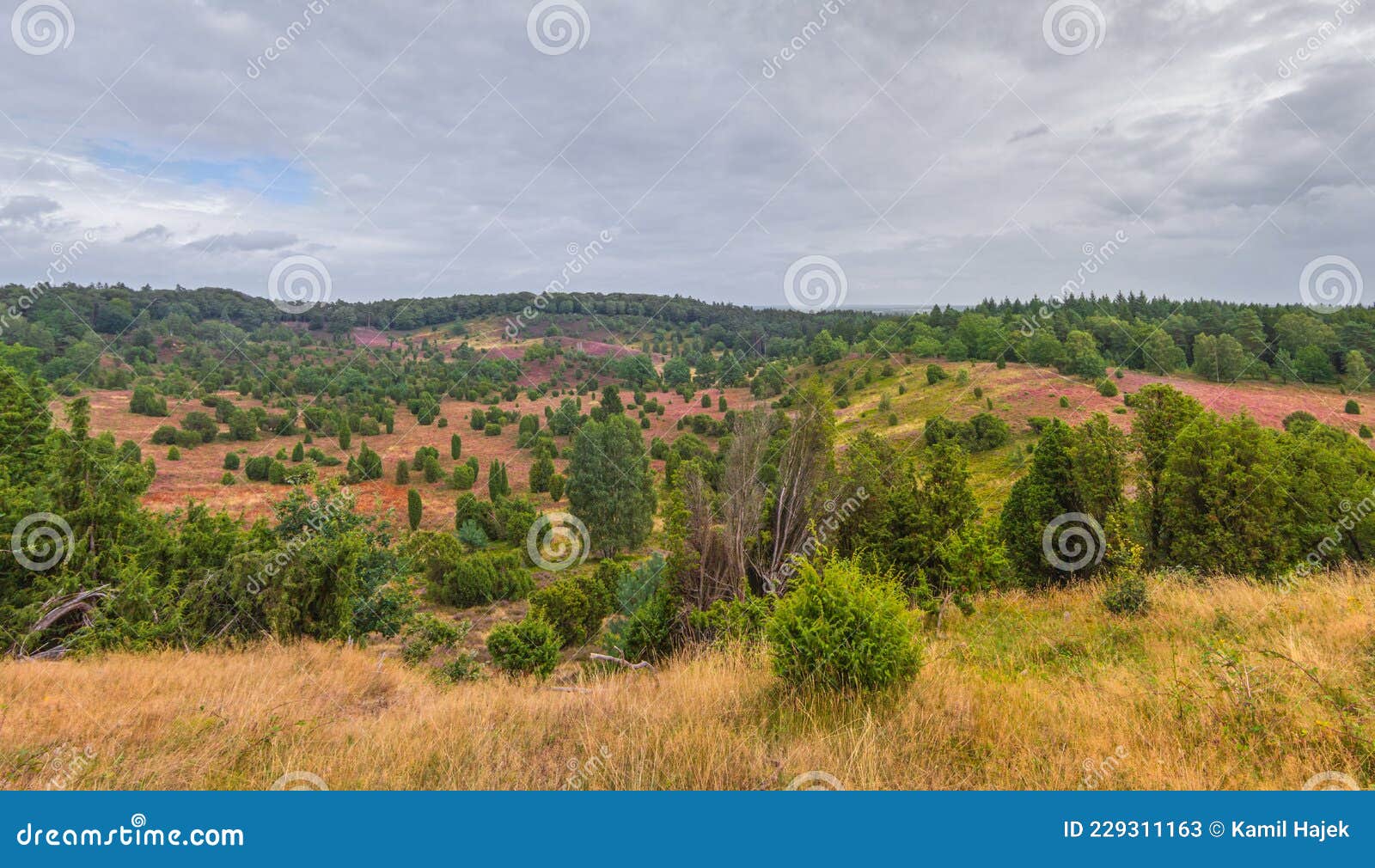 Totengrund in Der Urigurger Heide Stockbild - Bild von nave, vorbehalt ... Totengrund in Der Urigurger Heide Stockbild - Bild von nave, vorbehalt ...