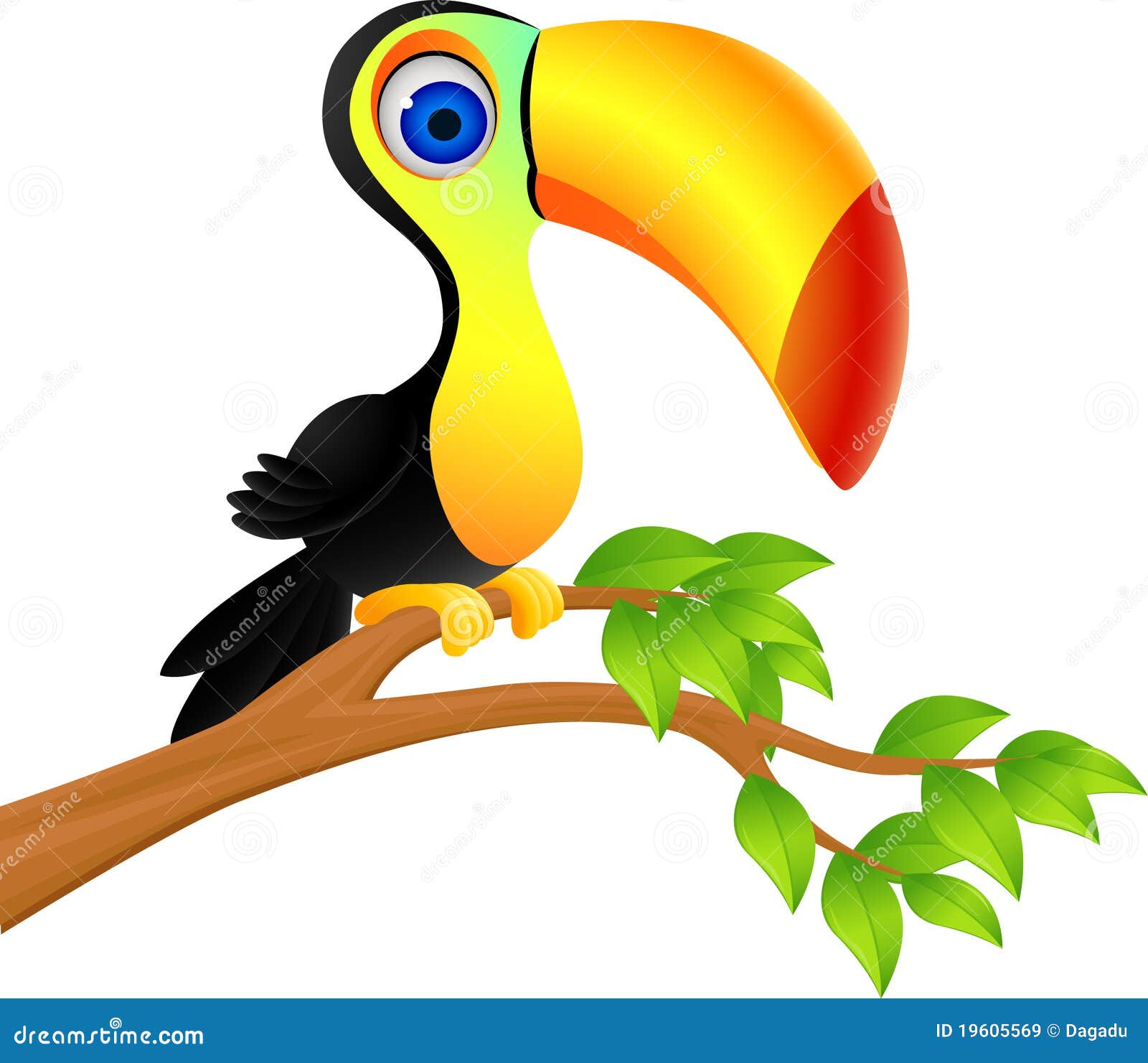Toucan bird stock vector. Illustration of outdoors, rain - 19605569