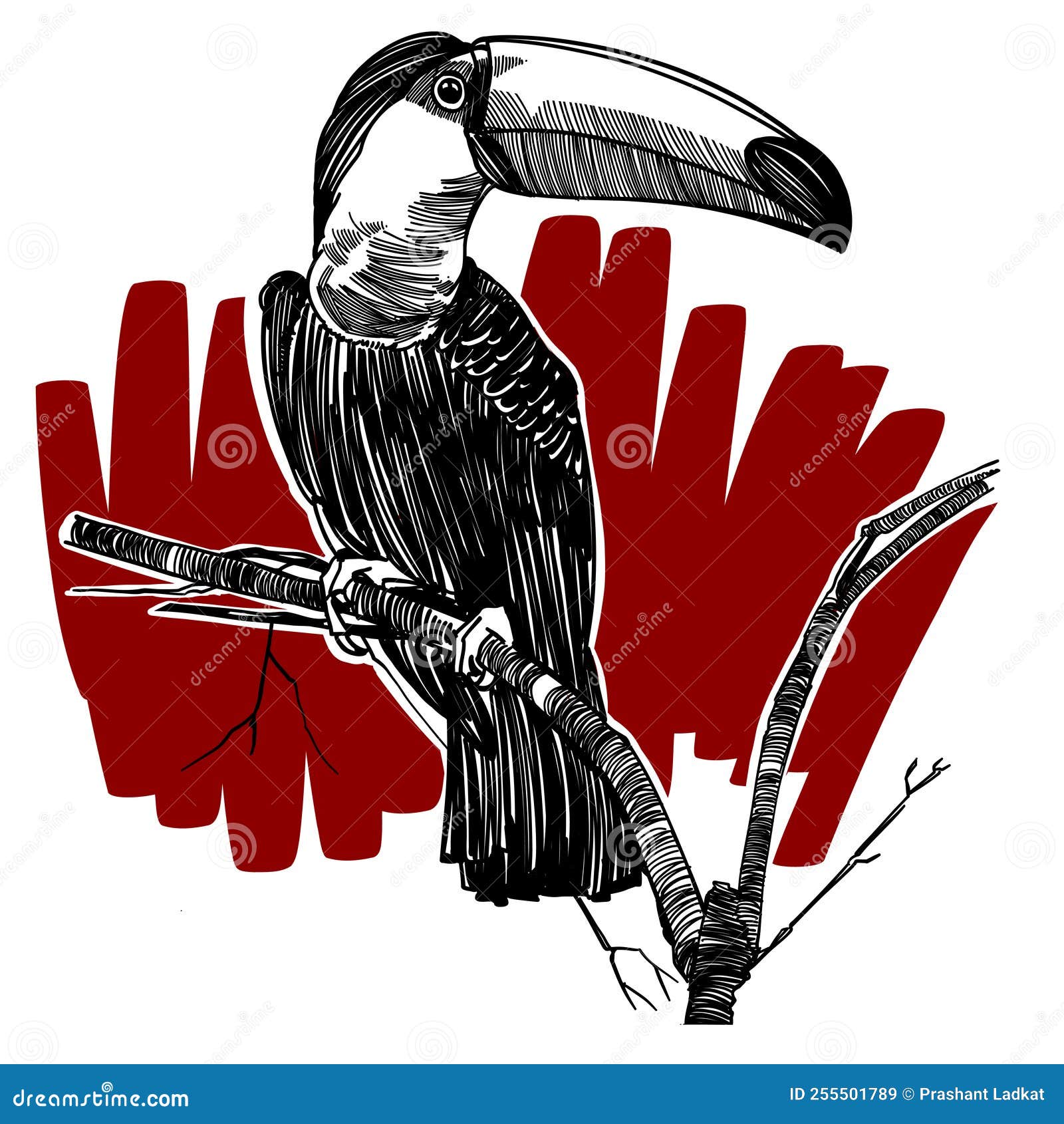 Toucan on a Branch of a Tree. (vector) Stock Vector - Illustration of ...