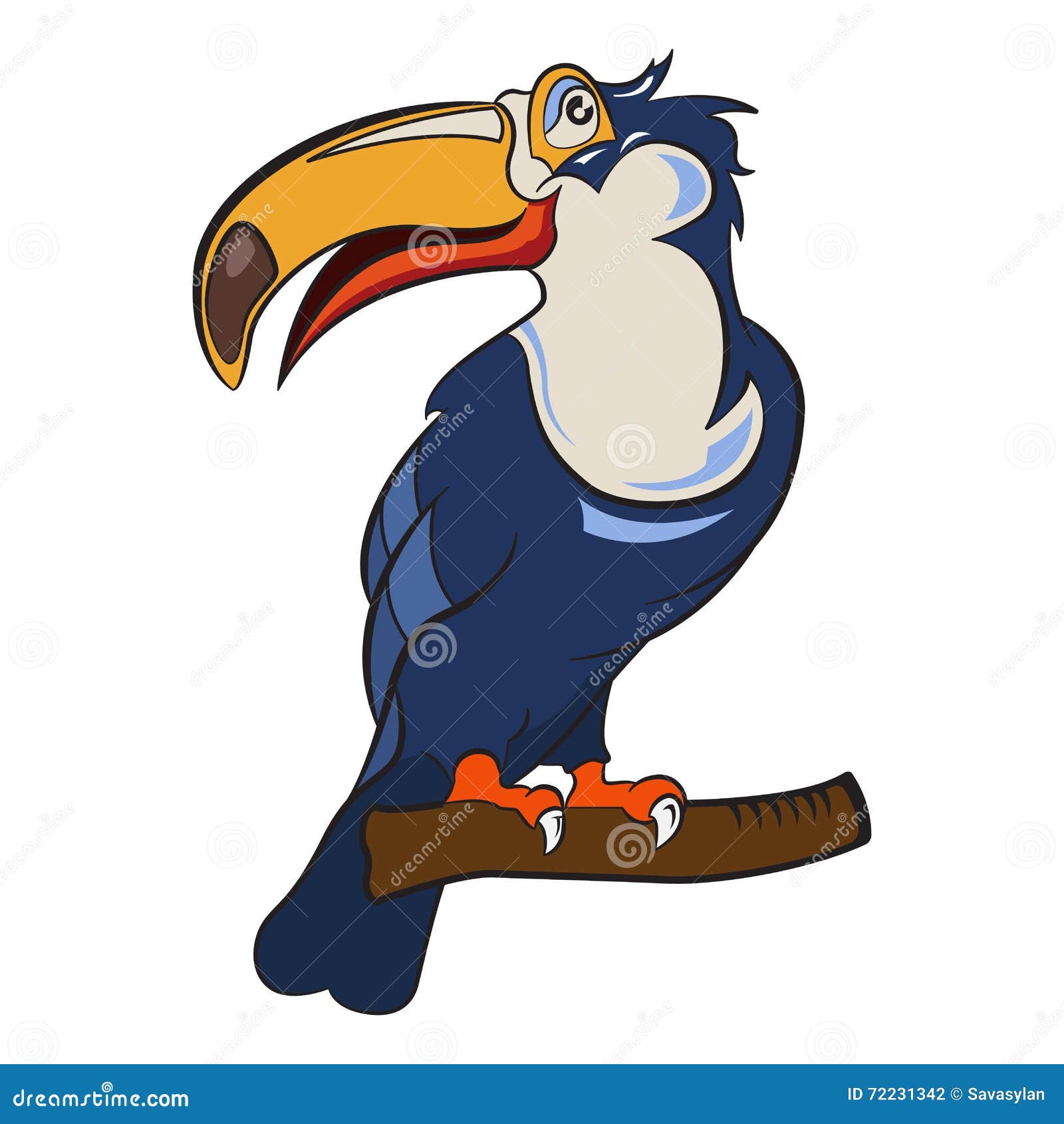 Toucan stock vector. Illustration of wild, character - 72231342