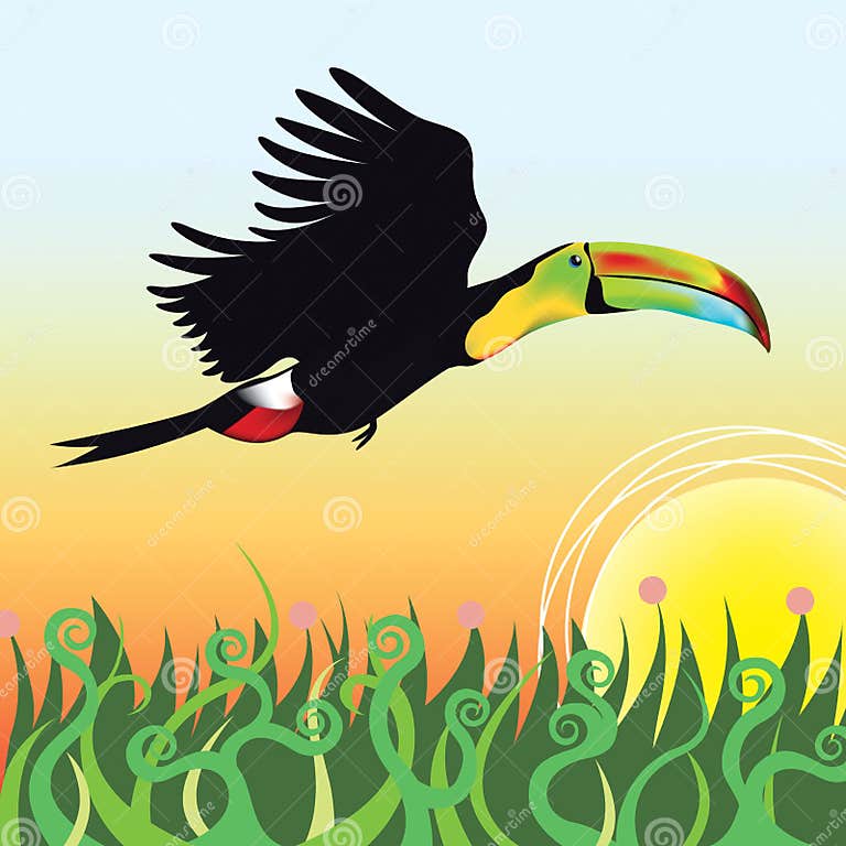 A Toucan Flying into Sunset Stock Vector - Illustration of island ...
