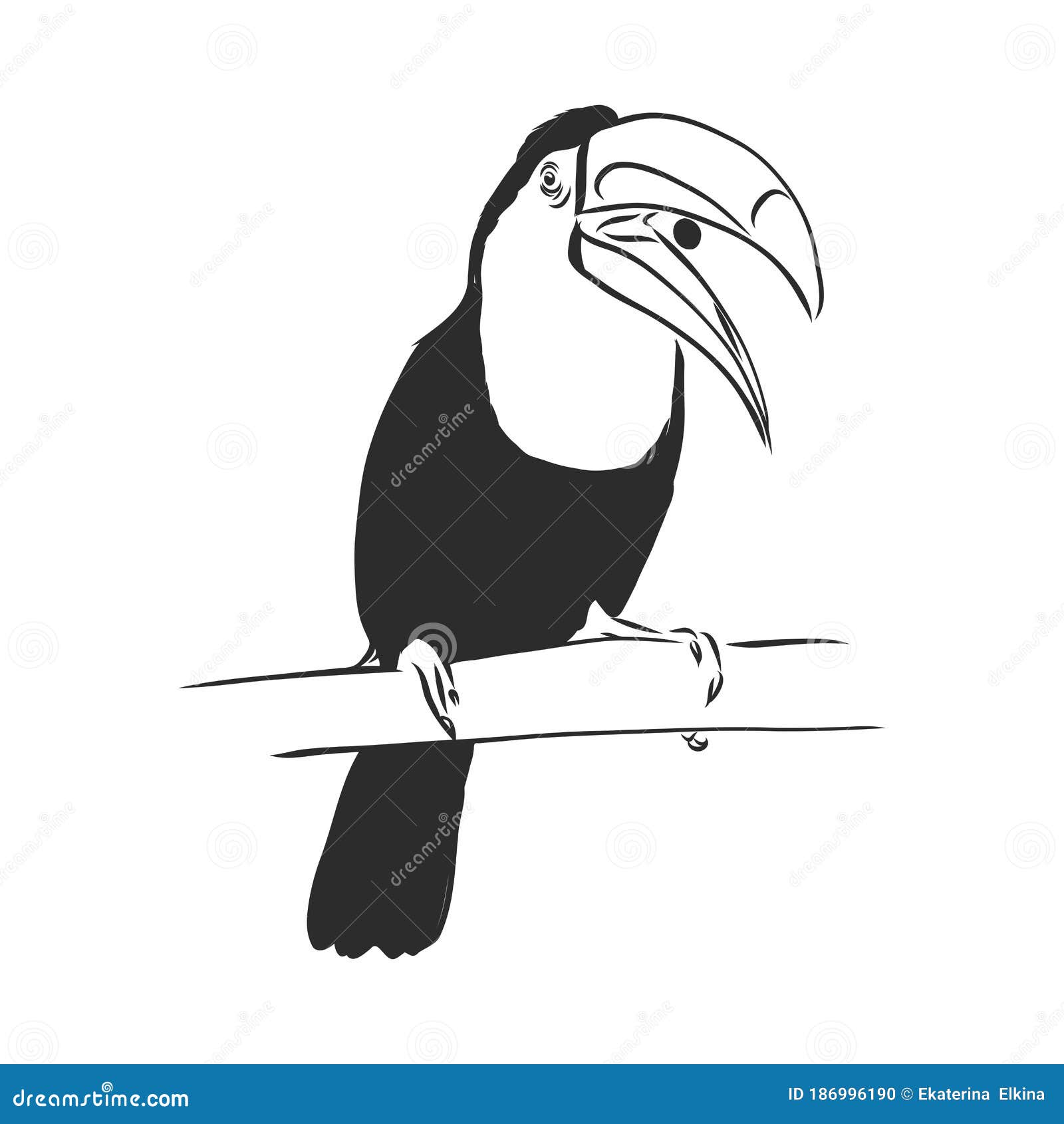 Toucan Hand Drawn Vector Llustration Realistic Sketch, Toucan Bird ...
