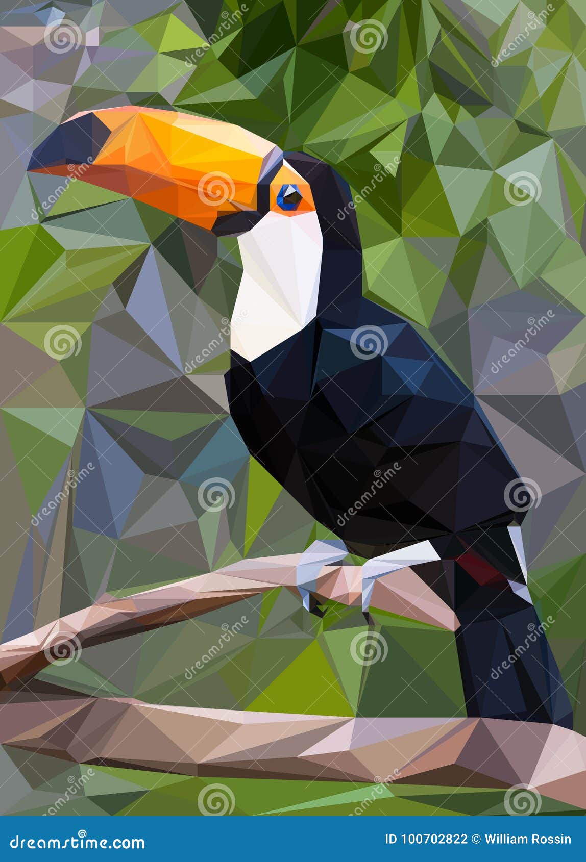 Toucan Low Poly stock vector. Illustration of polygons - 100702822