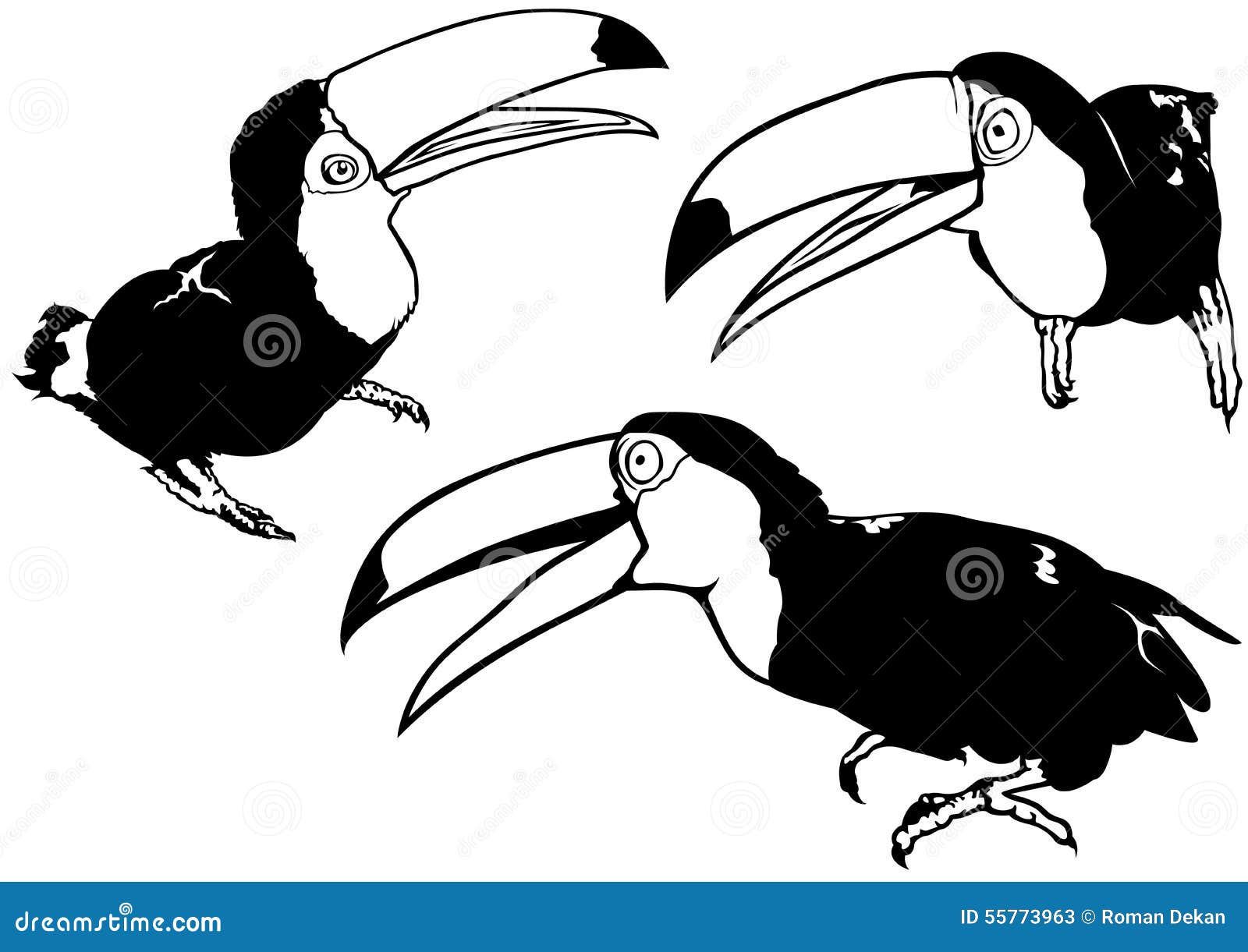 Toucan Set stock vector. Illustration of animal, rainforest - 55773963