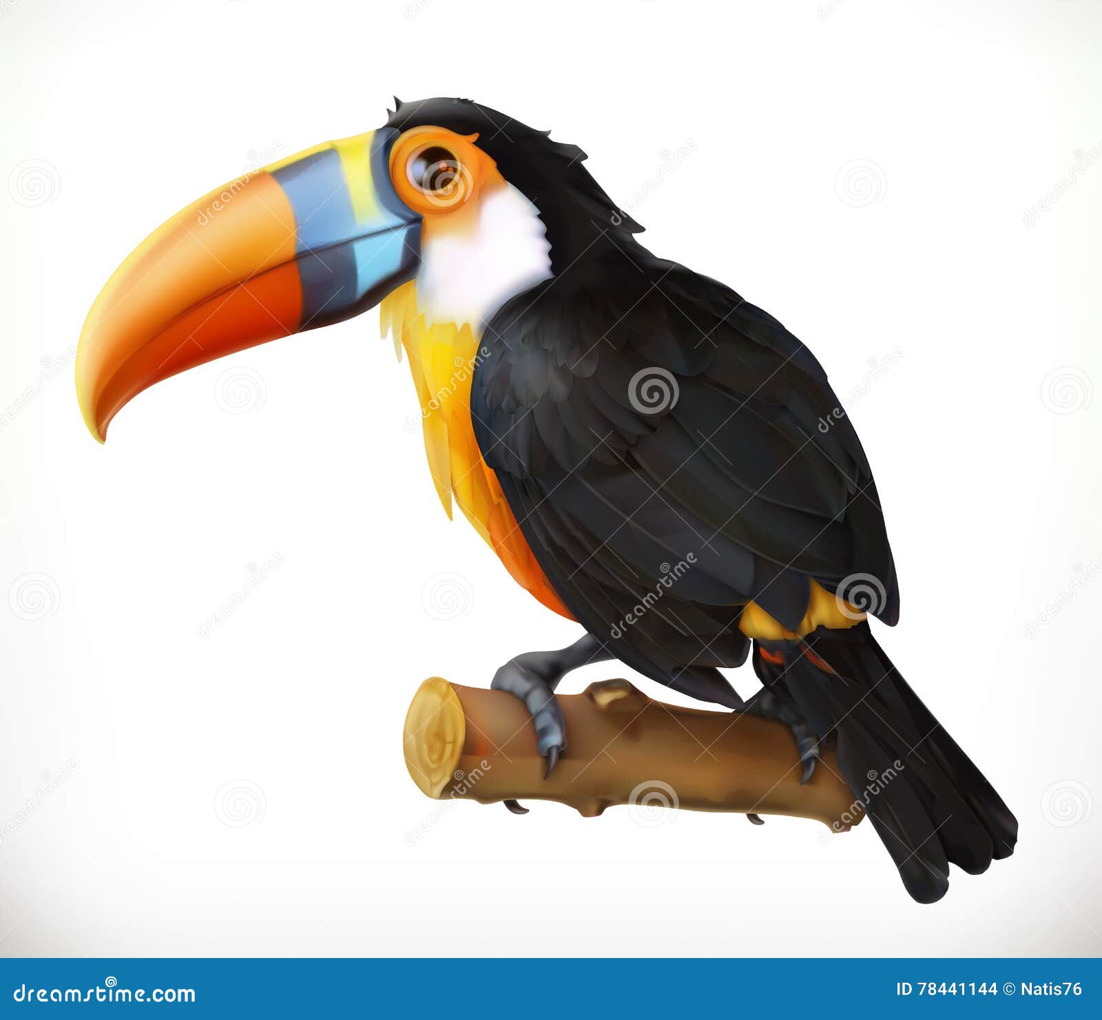 Toucan. Vector icon stock vector. Illustration of nature - 78441144