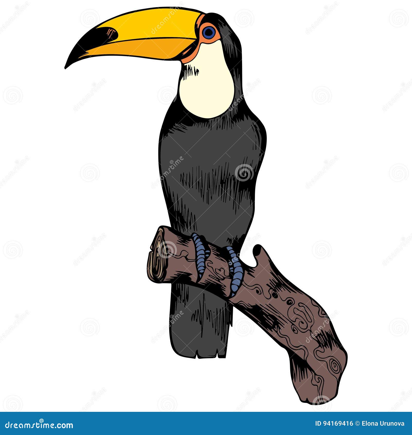 Toucan. Vector Illustration Stock Vector - Illustration of print ...