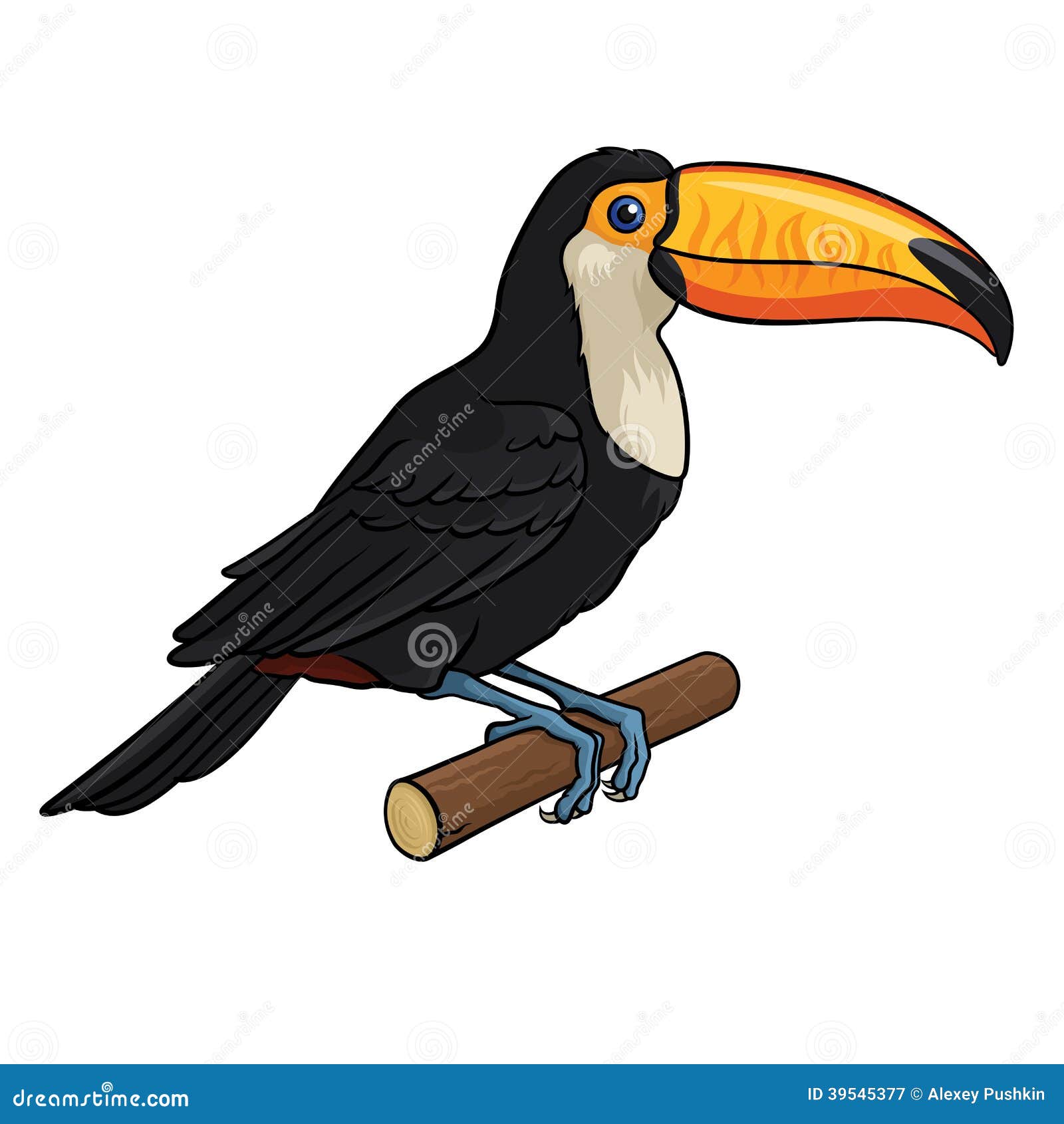 Toucan stock vector. Illustration of cute, colorful, nature - 39545377