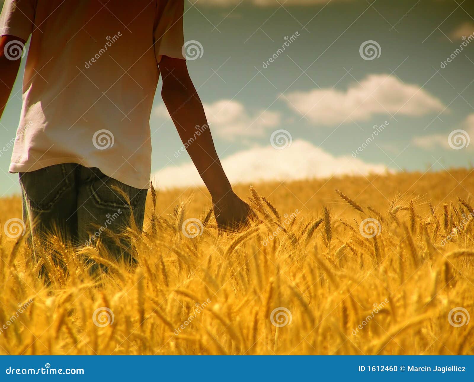 Touch stock photo. Image of people, expression, hand, gold - 1612460