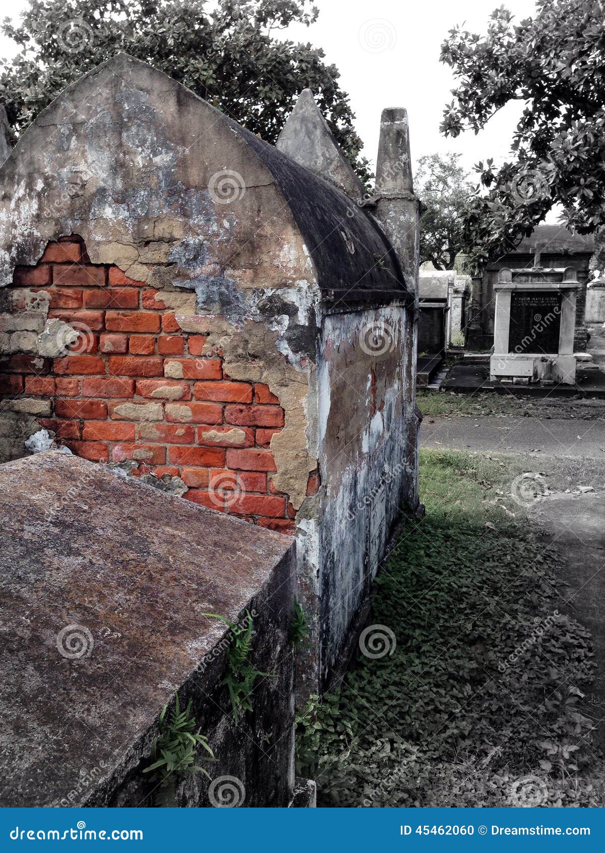 A Touch of Color in a and Death Stock Photo - Image of death, color ...