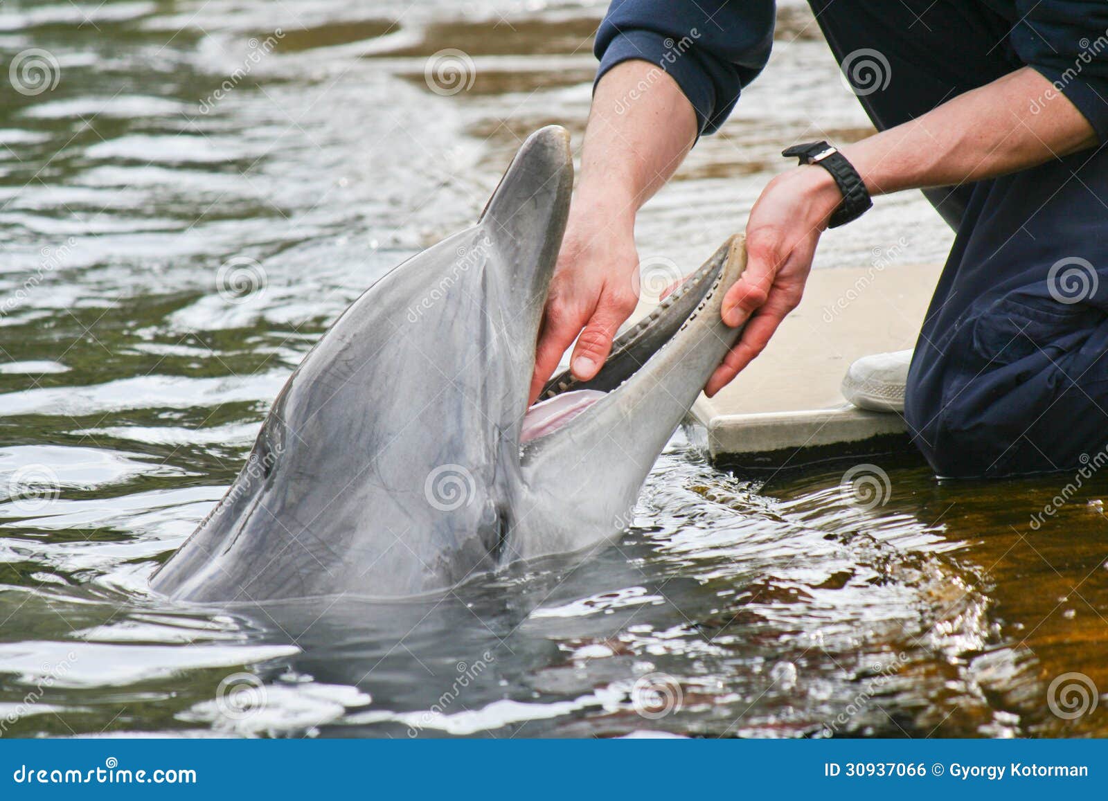 Touch Royalty Free Stock Image - Image: 30937066