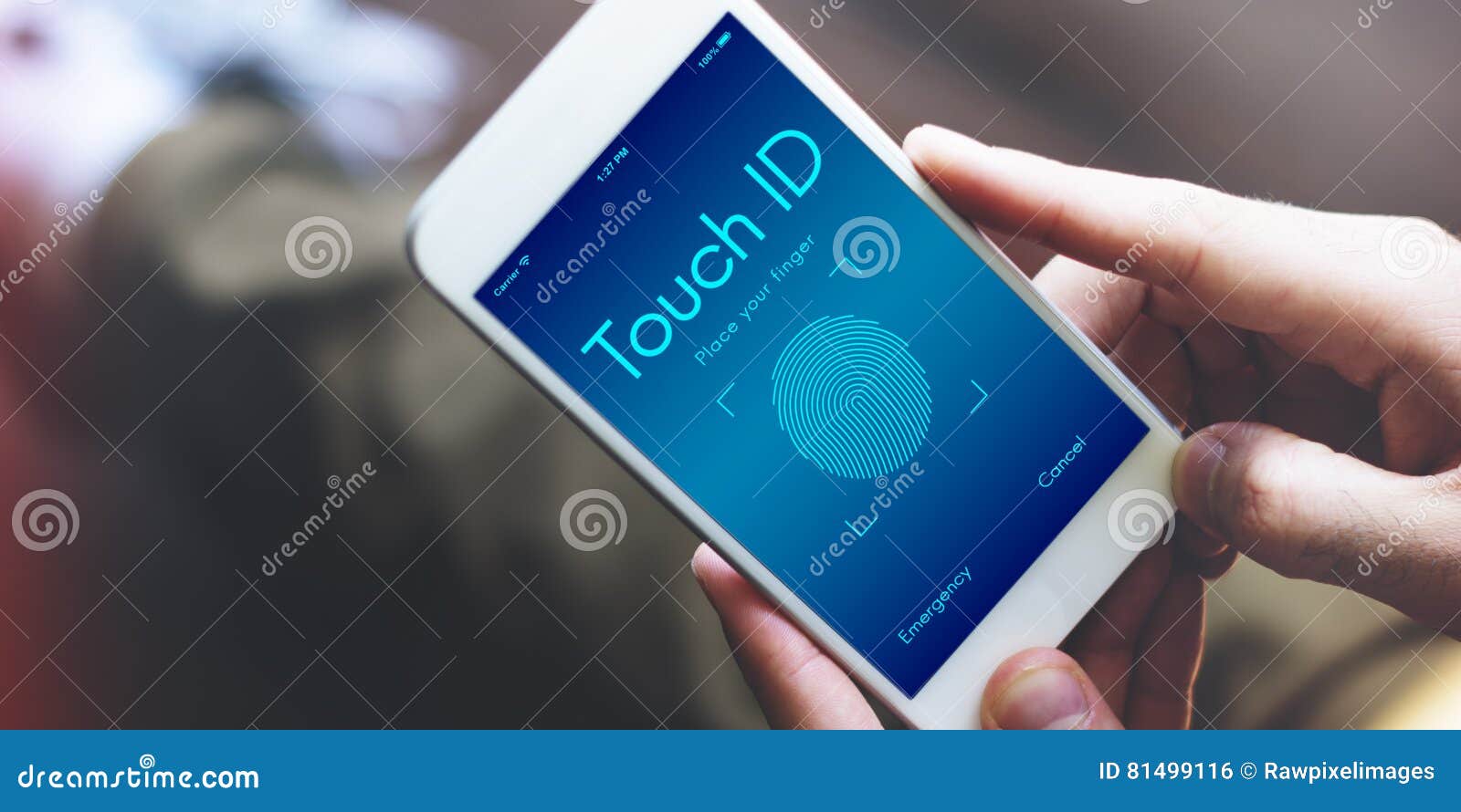 Touch ID Access Cyber Digital Security Graphic Concept Stock Photo ...