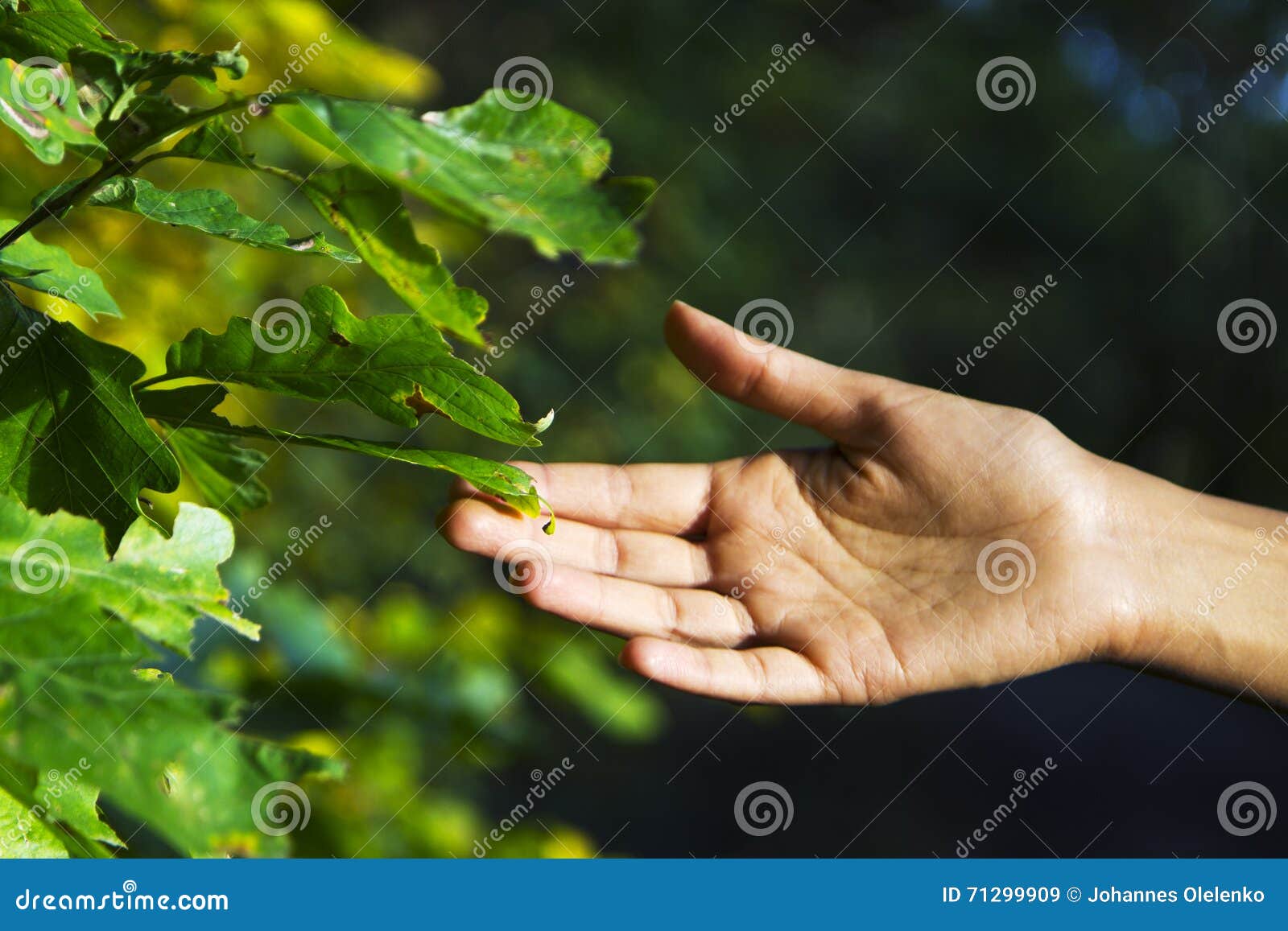 In touch with Nature stock image. Image of skin, feel - 71299909