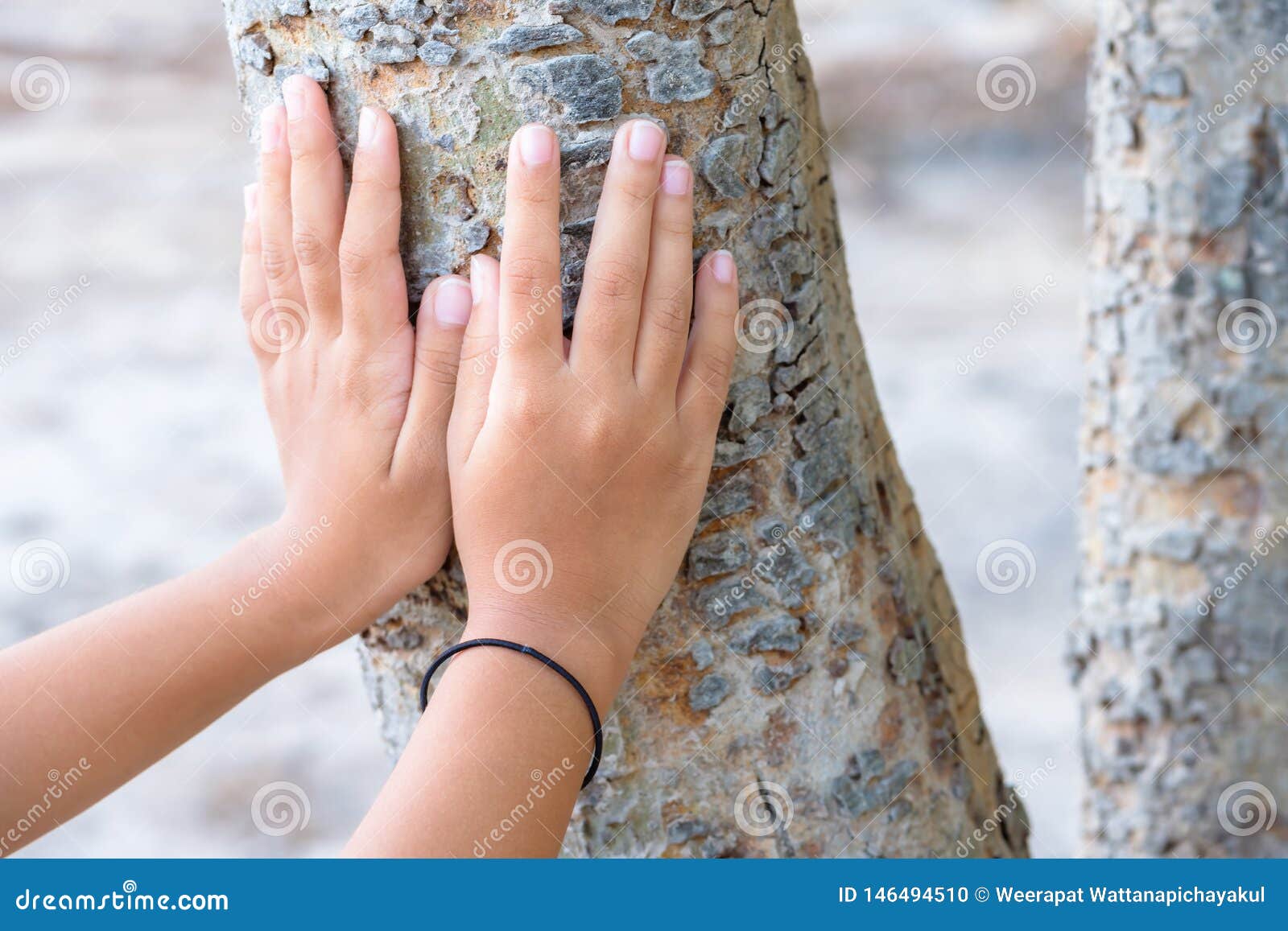 Touch the Tree Trunk stock photo. Image of person, conservation - 146494510
