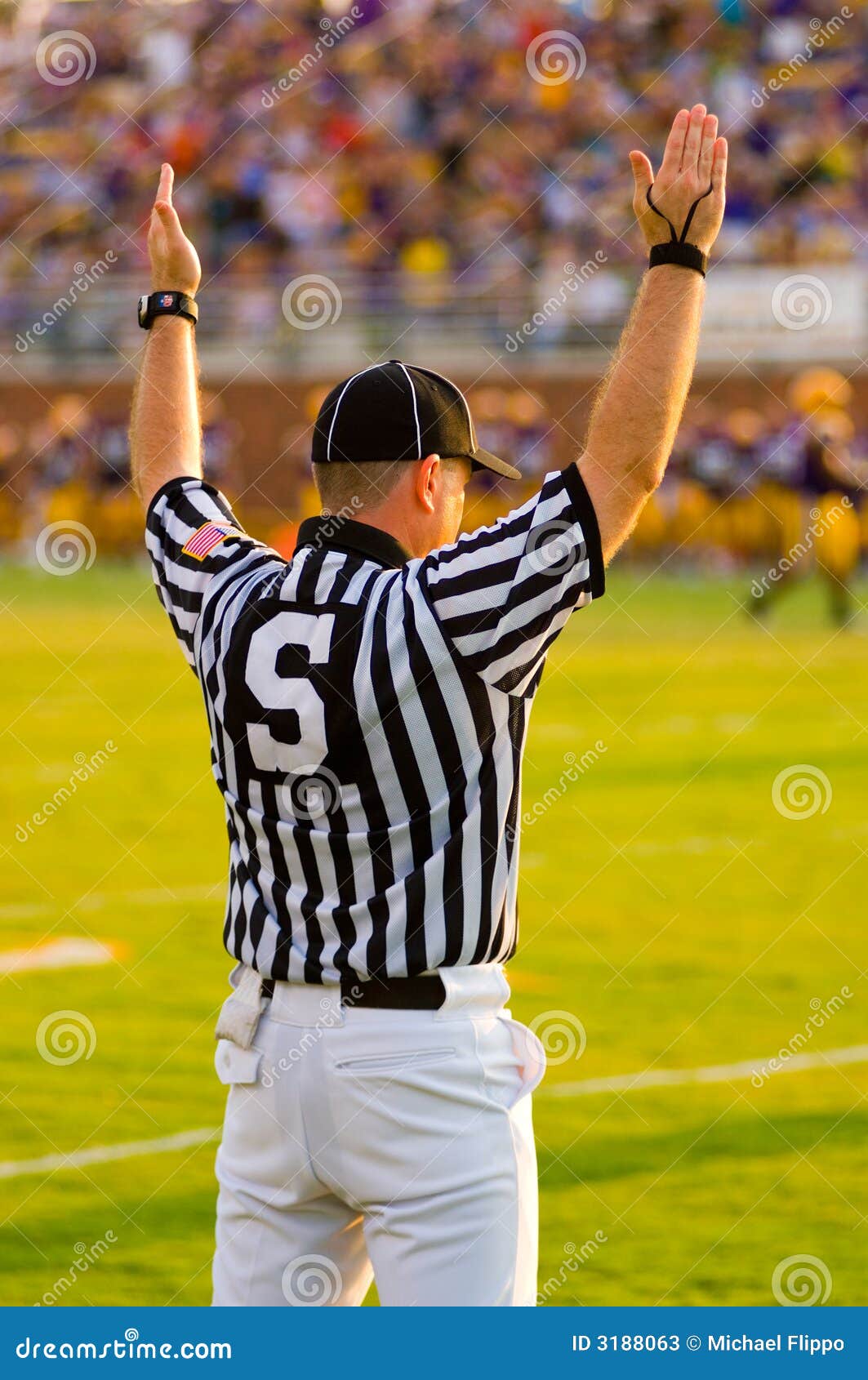 Touchdown stock image. Image of person, touchdown, umpire - 3188063