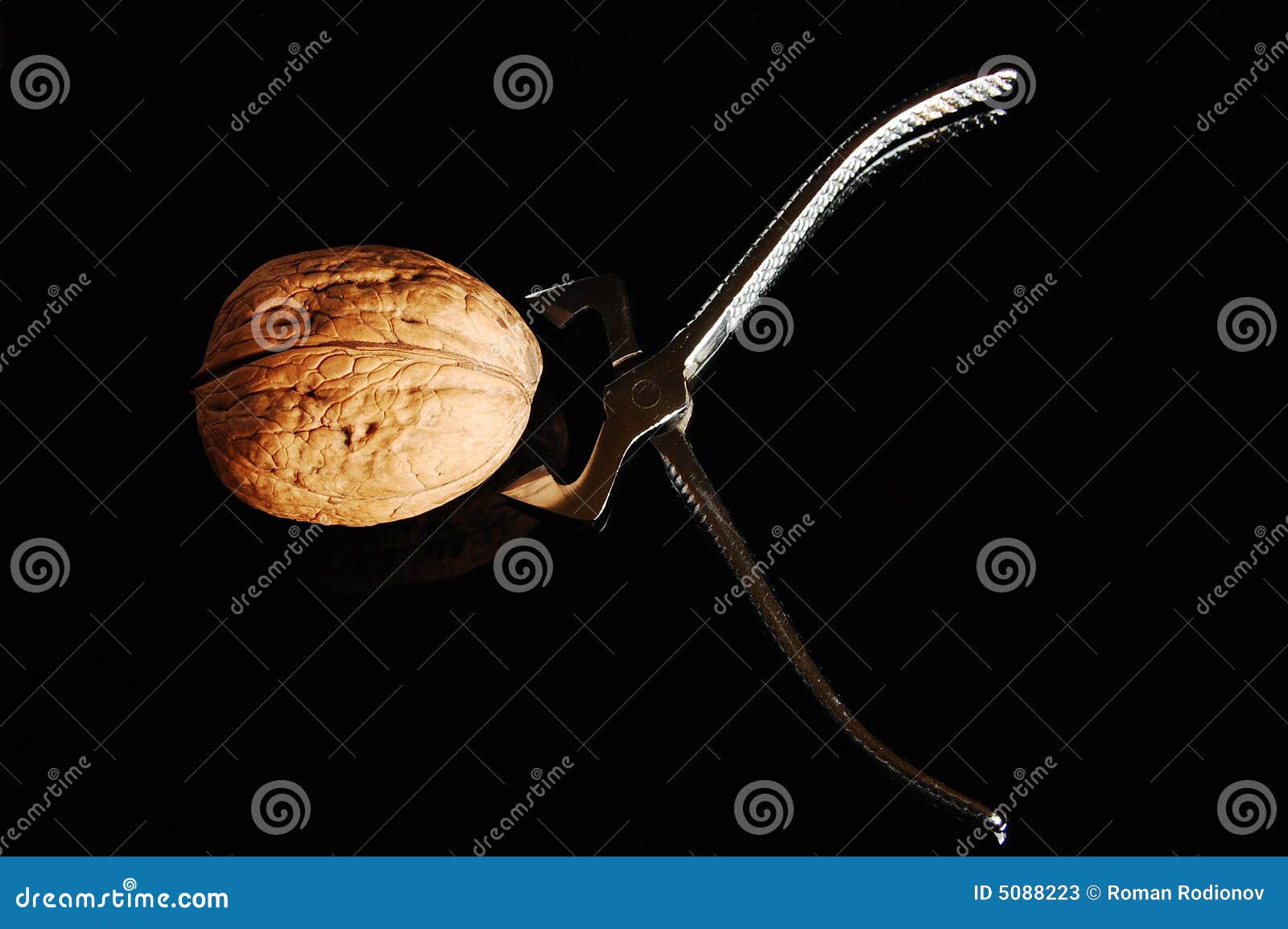 Tough Nut stock image. Image of cuisine, husk, hull, cook - 5088223