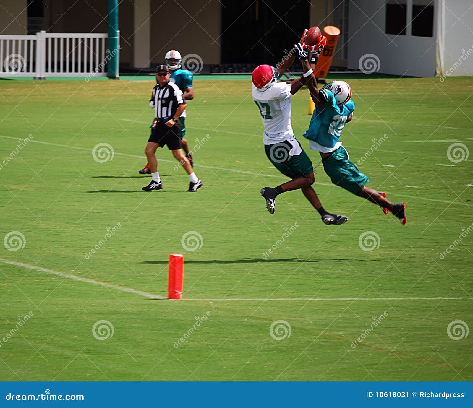 Tough Pass to Catch editorial photo. Image of dolphins - 10618031