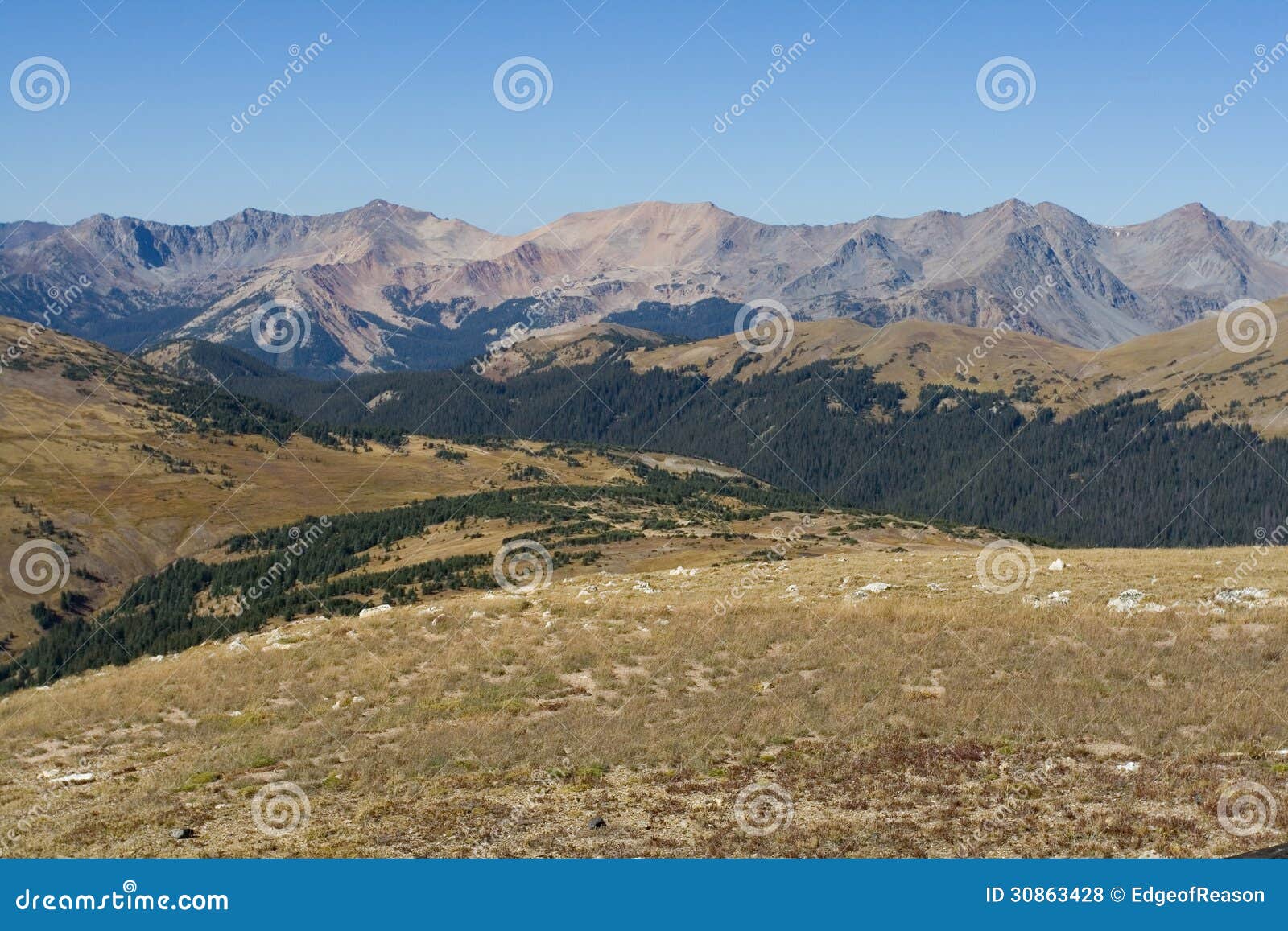 Toundra Alpine Dans Rocky Mountains Photo stock - Image du fragilité ...