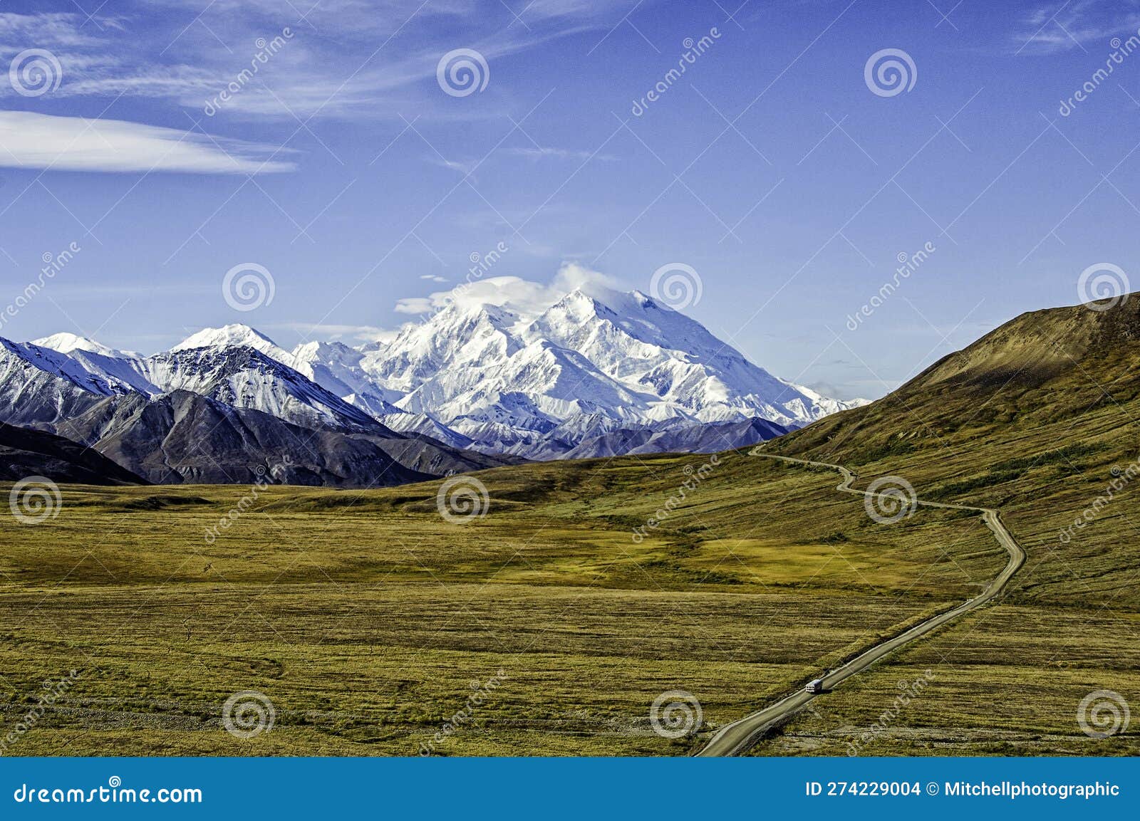 Tour Bus Driving Past Denali Stock Photo - Image of scenery, background ...