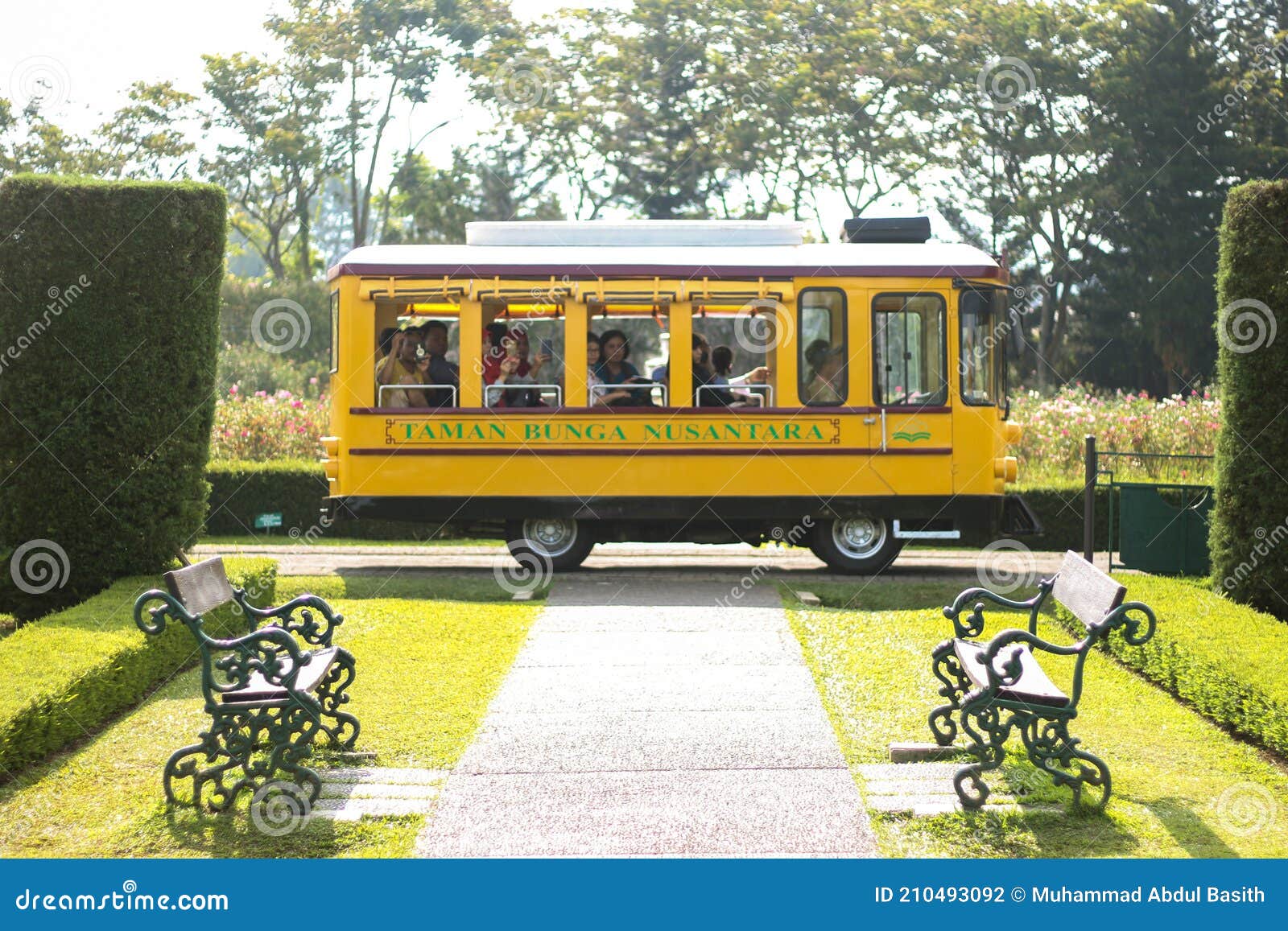 Tour bus in the park editorial photography. Image of recreation - 210493092