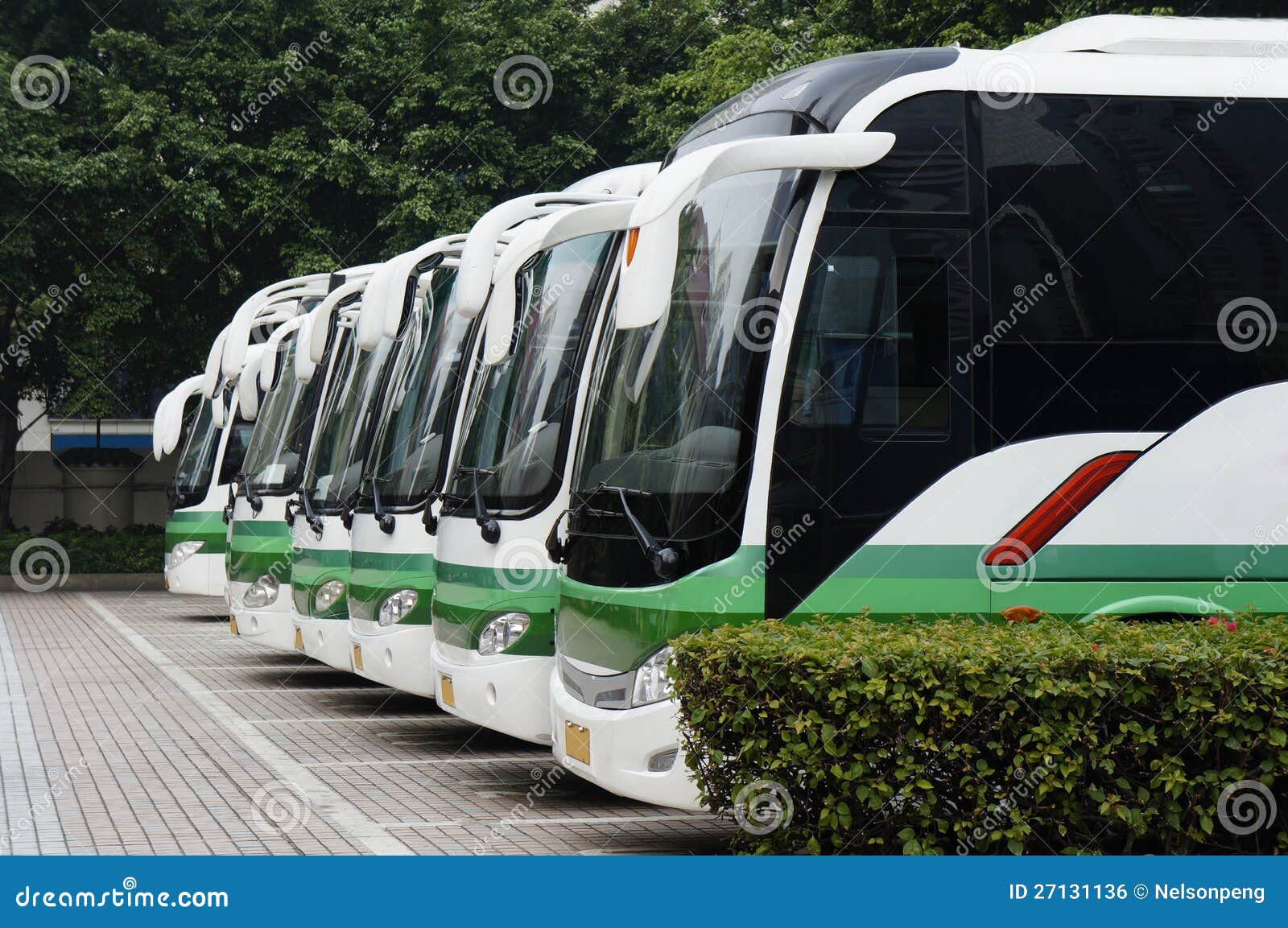 Tour buses stock photo. Image of trees, mobile, buses - 27131136