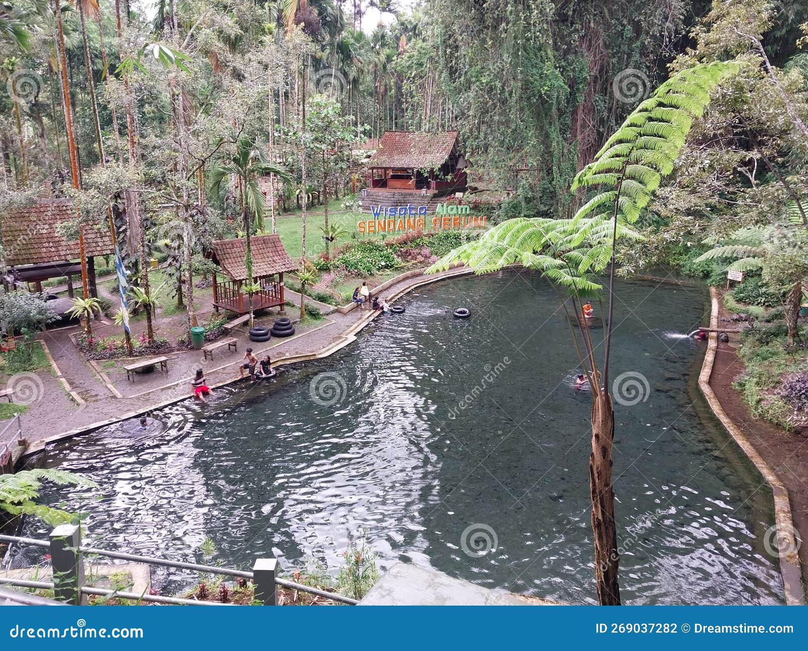 Tour Java Forest Indonesia Water Editorial Photography - Image of ...