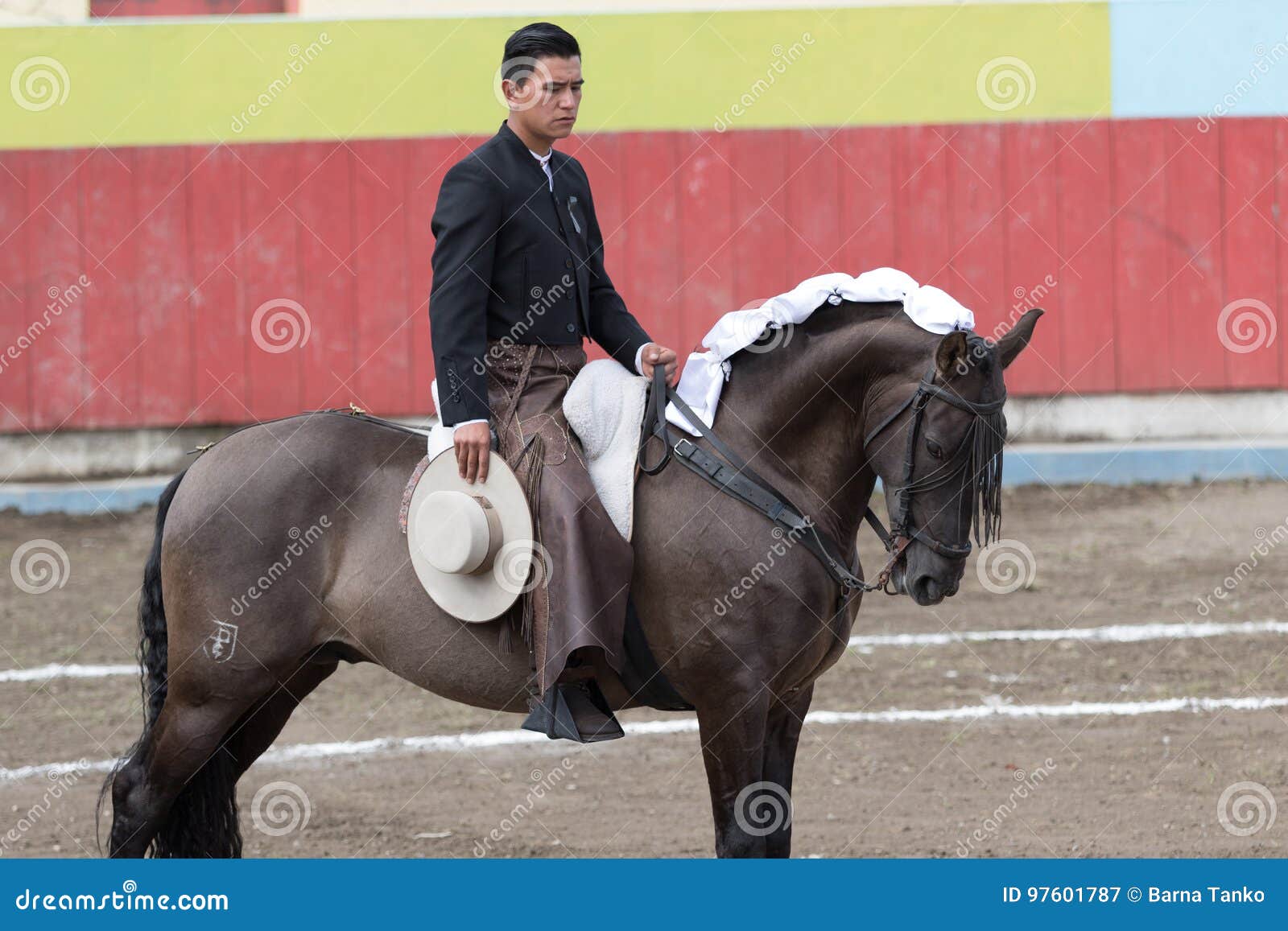 Toureiro a cavalo fotografia editorial. Imagem de evento - 97601787