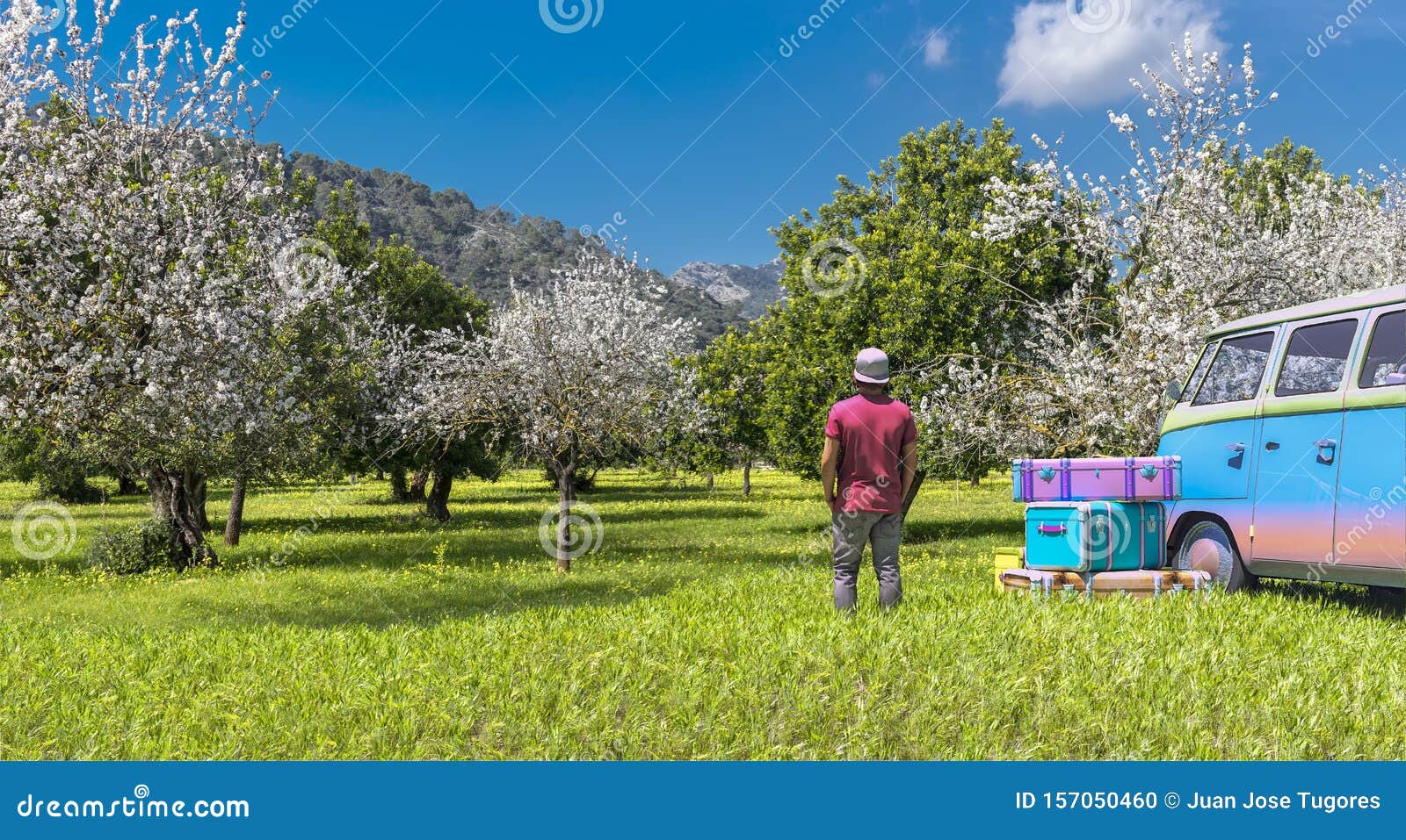 Mallorca Majorca Political Map Cartoon Vector | CartoonDealer.com ...