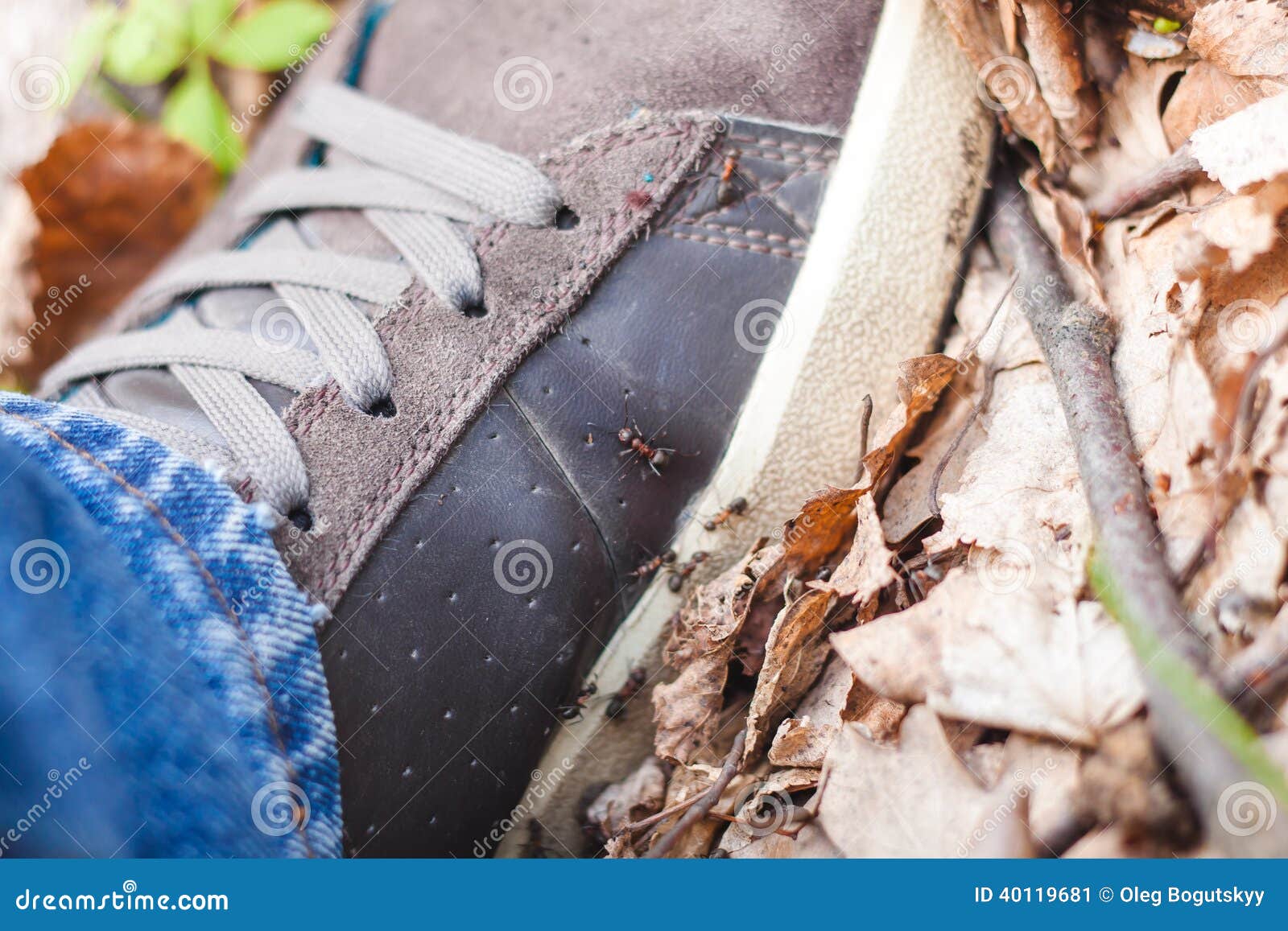 Tourist and ants stock image. Image of ants, shoe, small - 40119681
