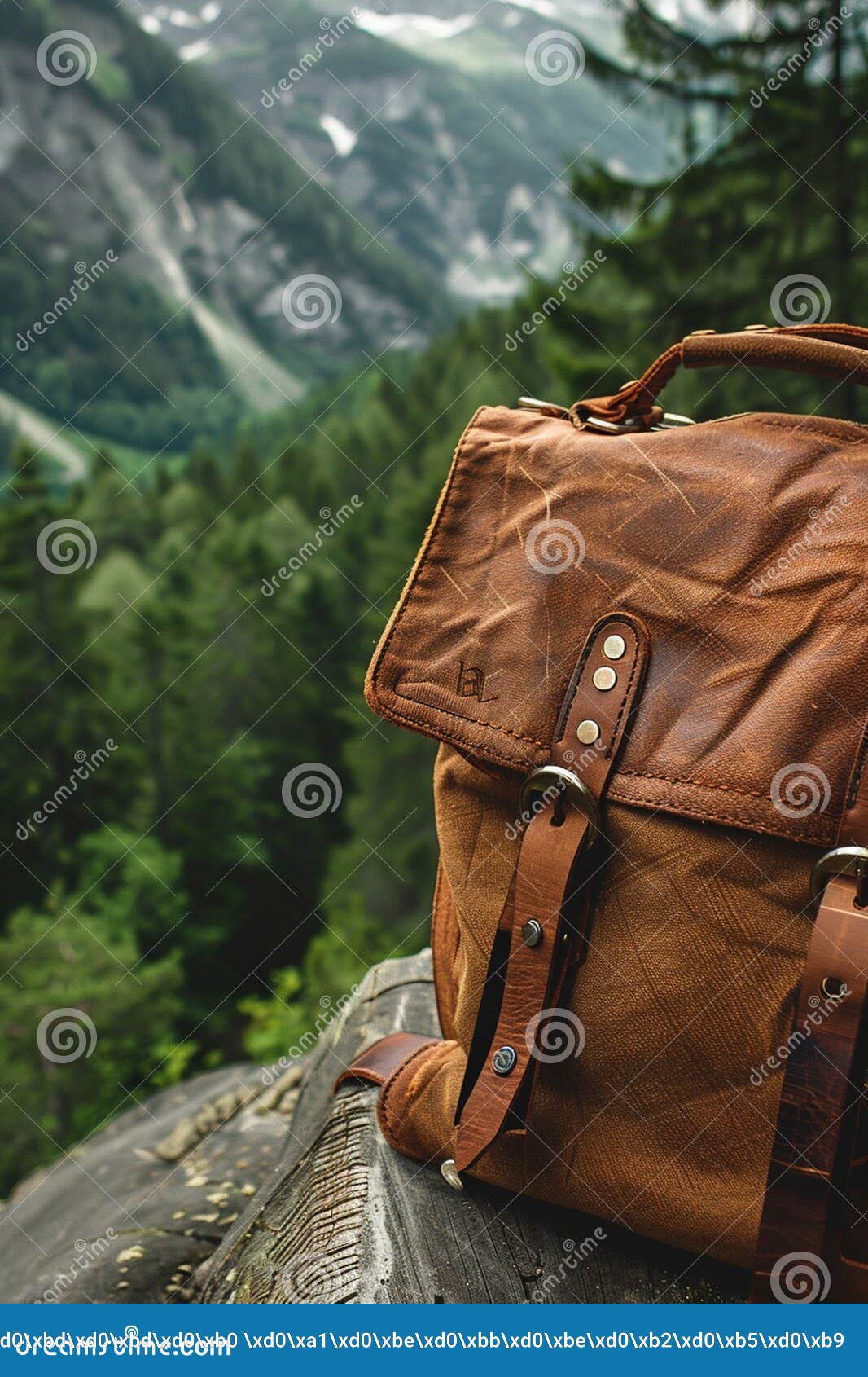 Tourist Backpack on the Background of Nature Mountains Stock Image ...