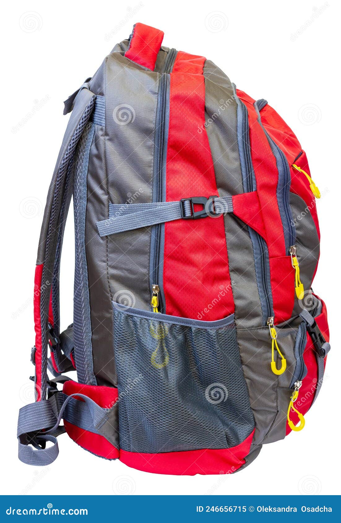 Tourist Backpack on a White Background. Side View. Isolate on a White ...