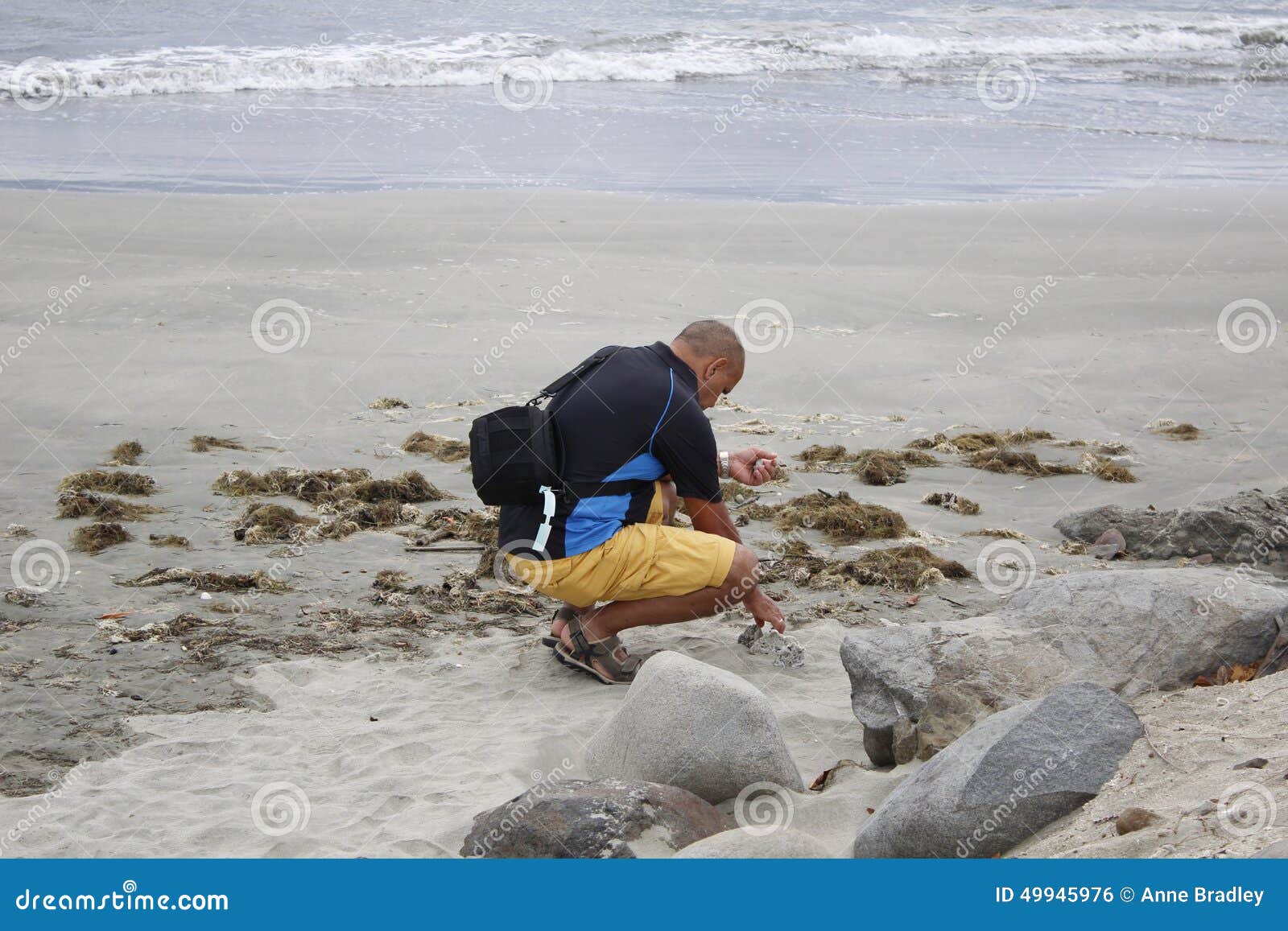 Tourist Beachcombing at Dusk Stock Photo - Image of annebradley, dusk ...