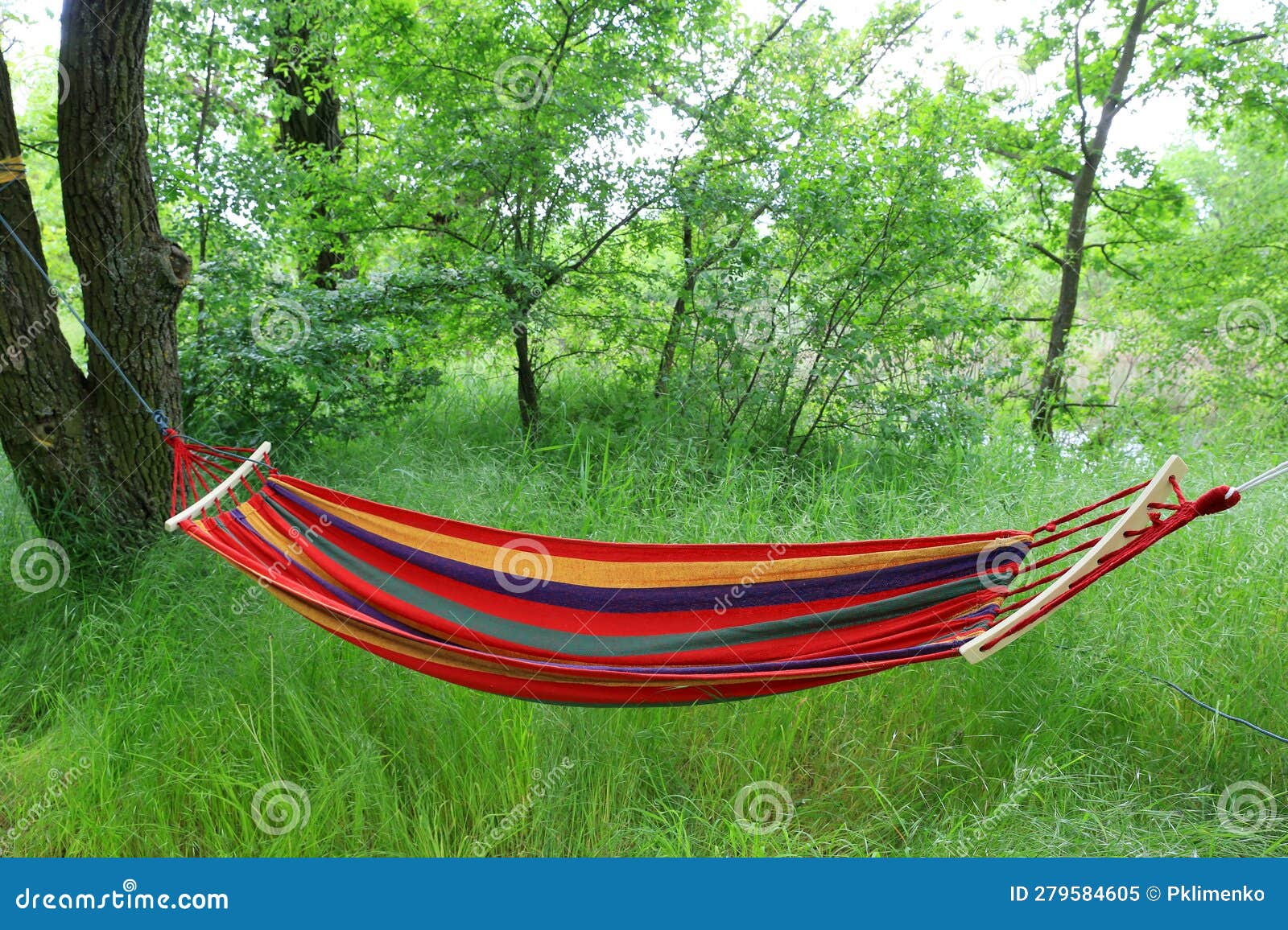 Tourist Hammock in the Green Forest Stock Image - Image of hammocks ...