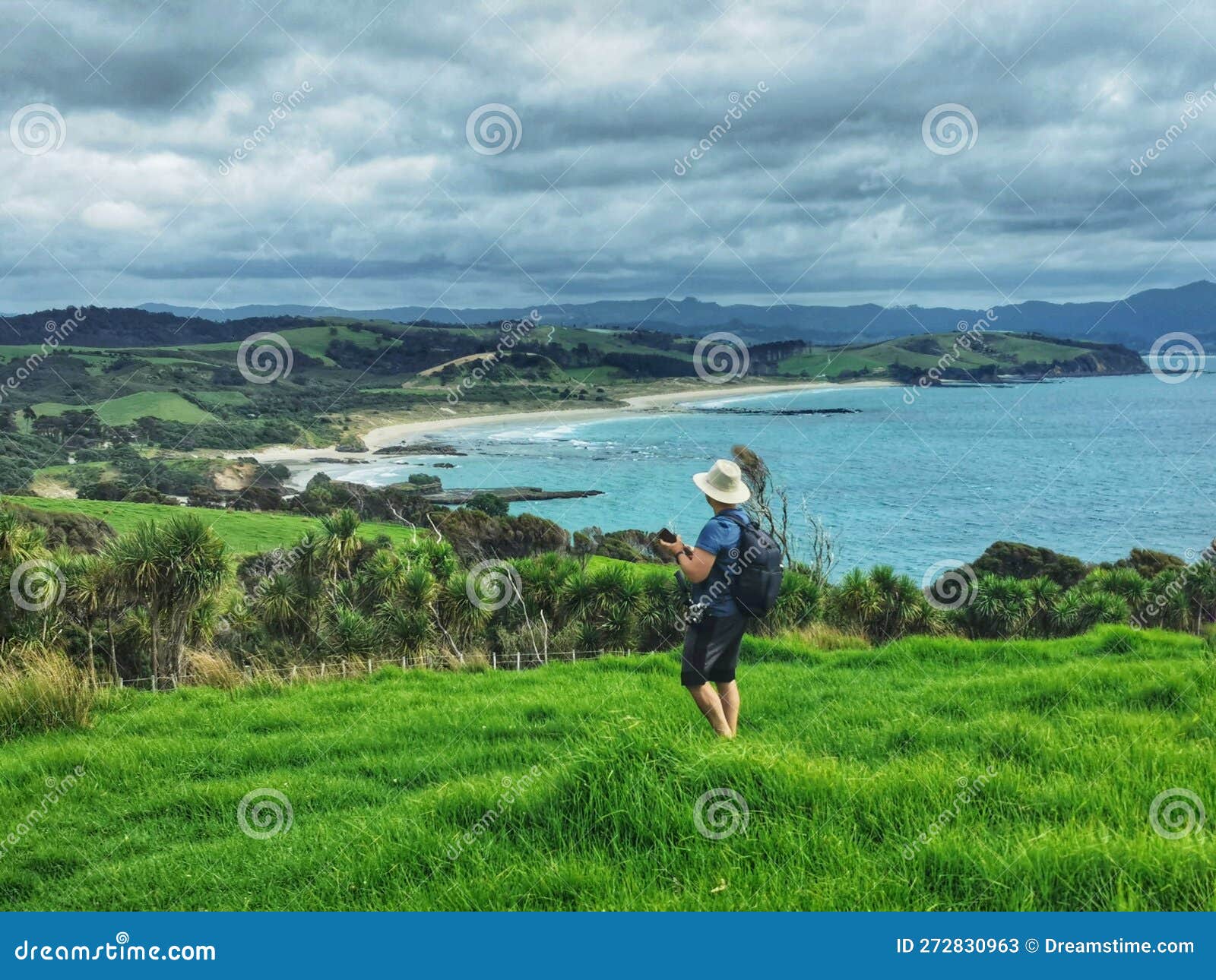A Tourist Hiking on a Green Paddock with an Ocean View Stock Image ...