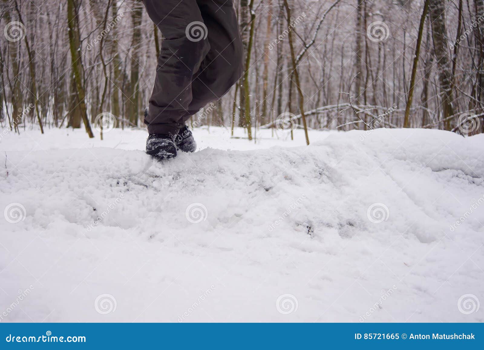 Tourist Jumps Over a Log in the Winter Forest Stock Image - Image of ...